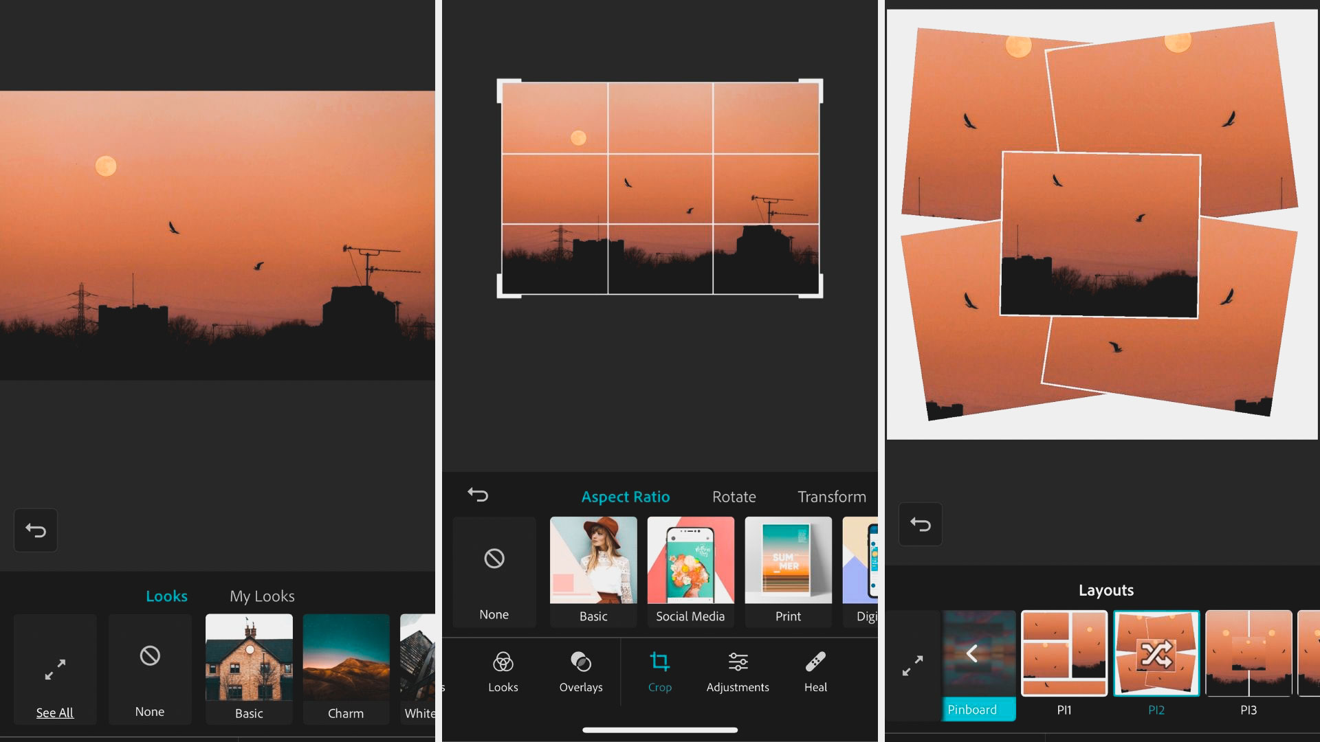 Focus: 5 apps for all photographers
