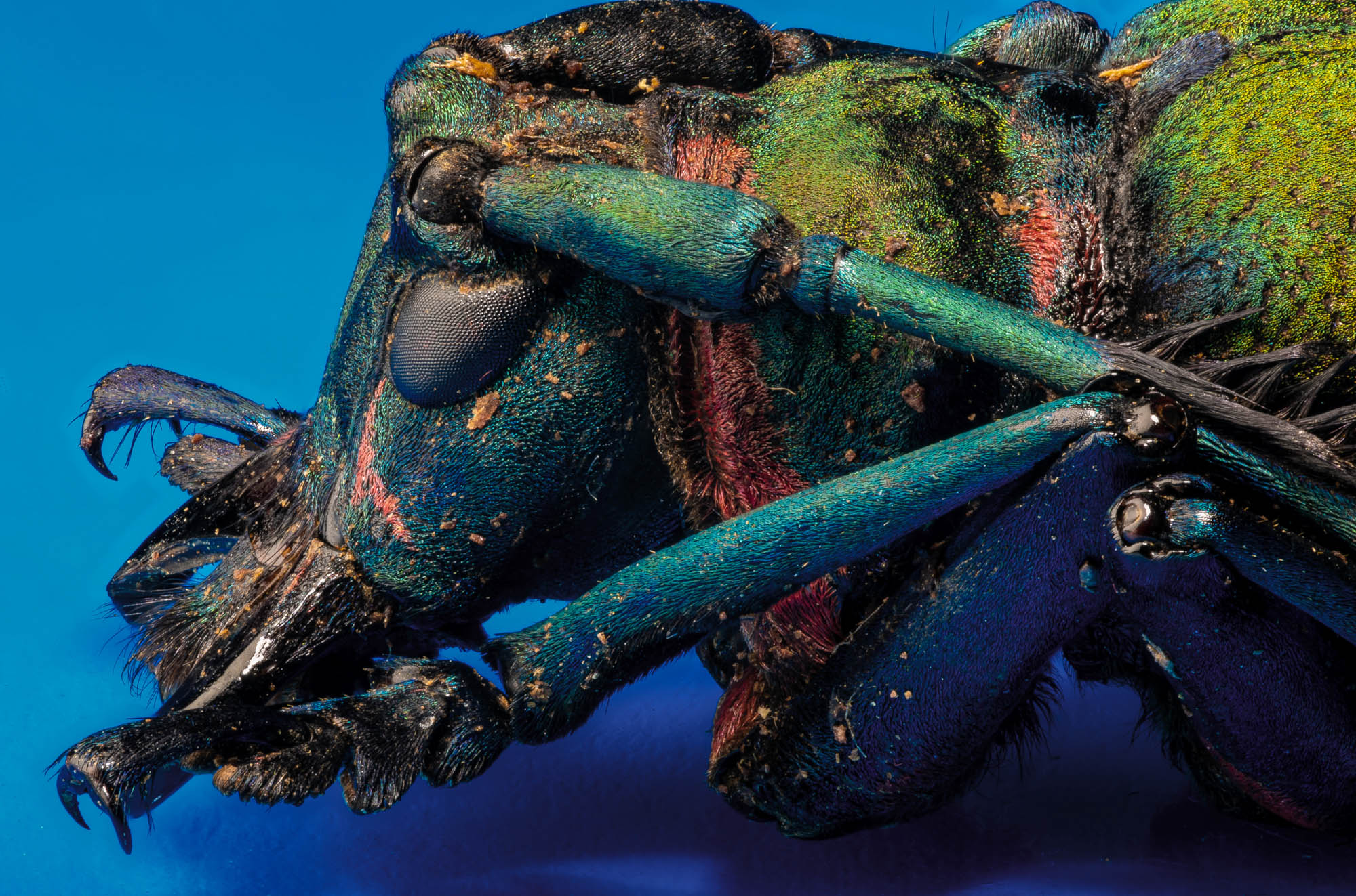 Focus: VIDEO: How to edit with Hue, Saturation and Luminance (HSL) in ...