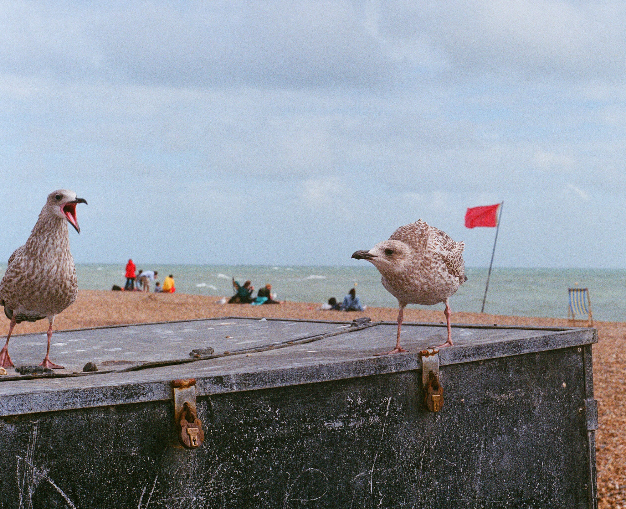 Focus: 15 inspiring examples of analogue film photography