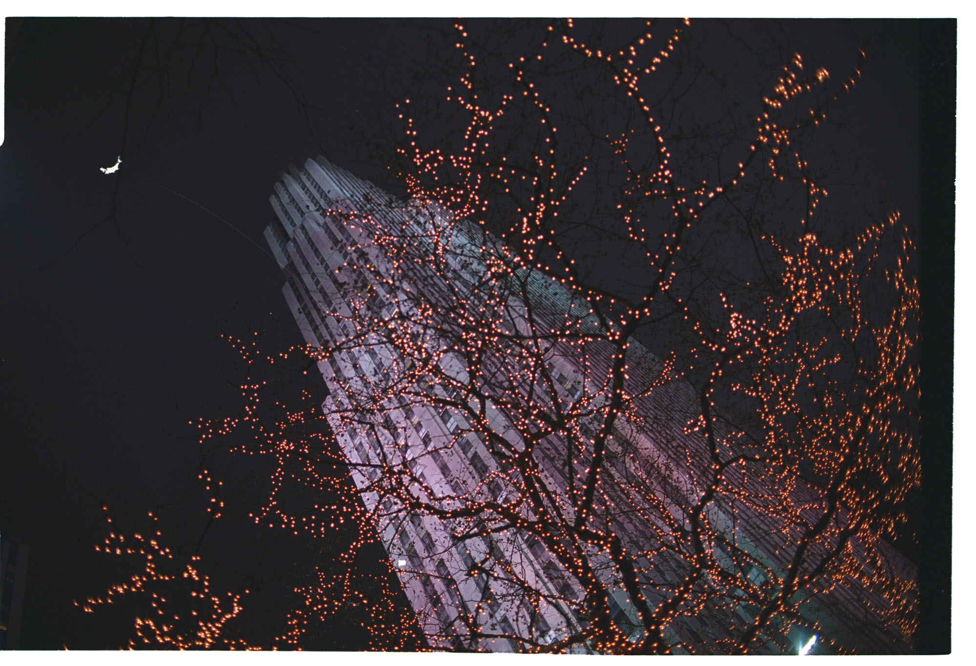 Focus: 15 inspiring examples of analogue film photography
