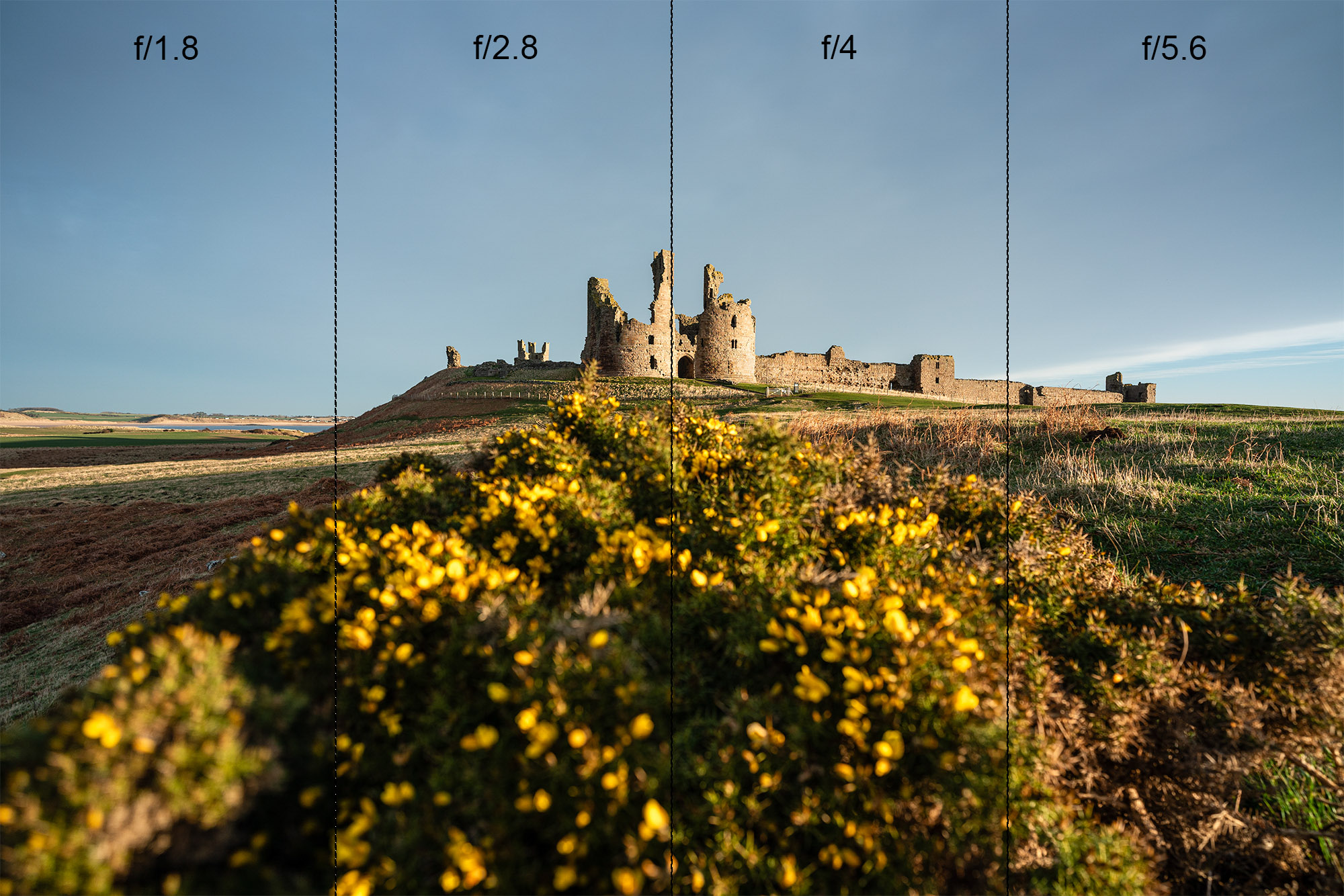 Focus: How to get the blurred foreground effect for your landscape photos