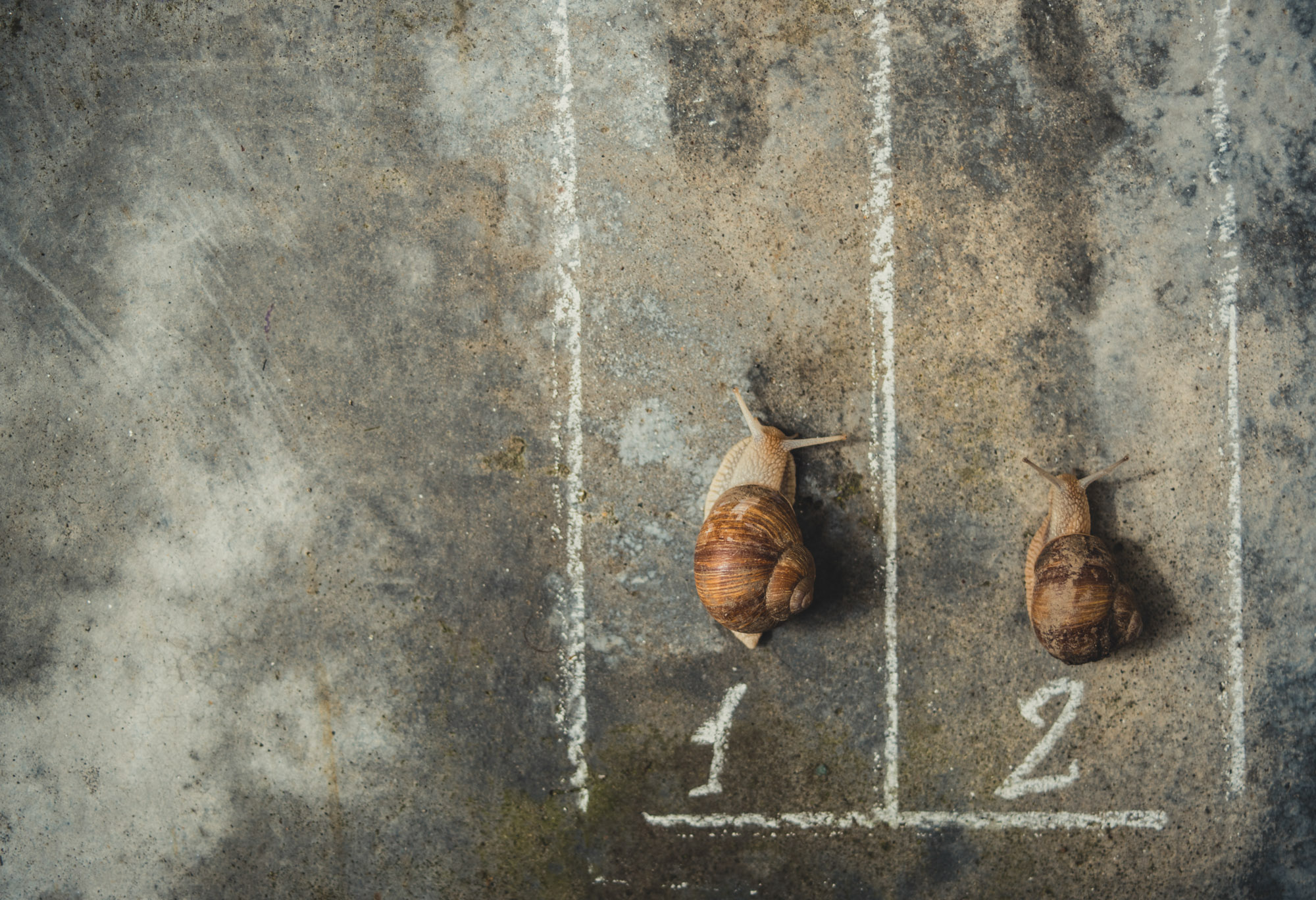 Focus: Why you should enter photography competitions (and how to best ...