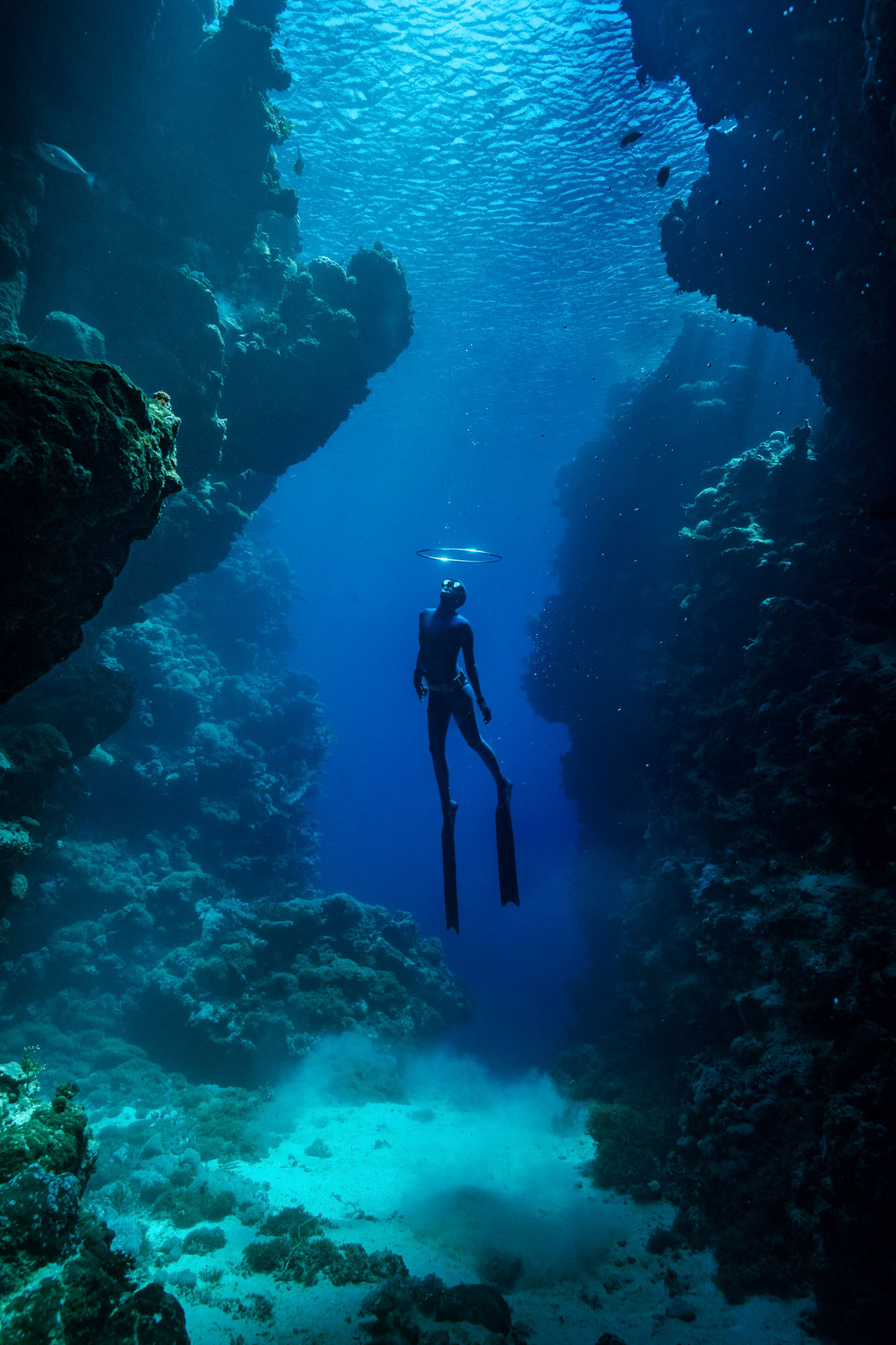 Focus: A beginner’s guide to underwater photography