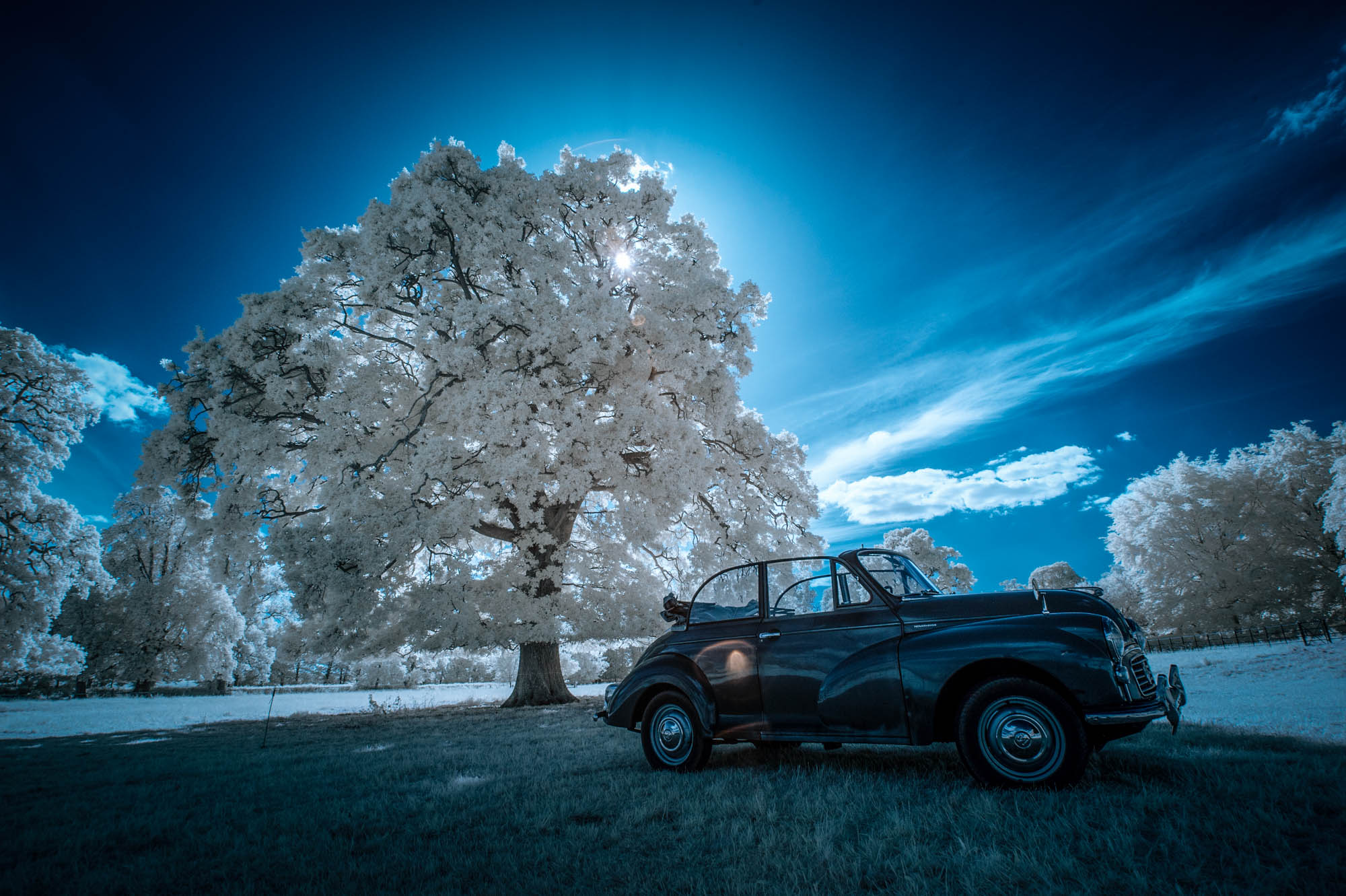Focus: A beginner's guide to infrared photography: 7 easy tips to get ...