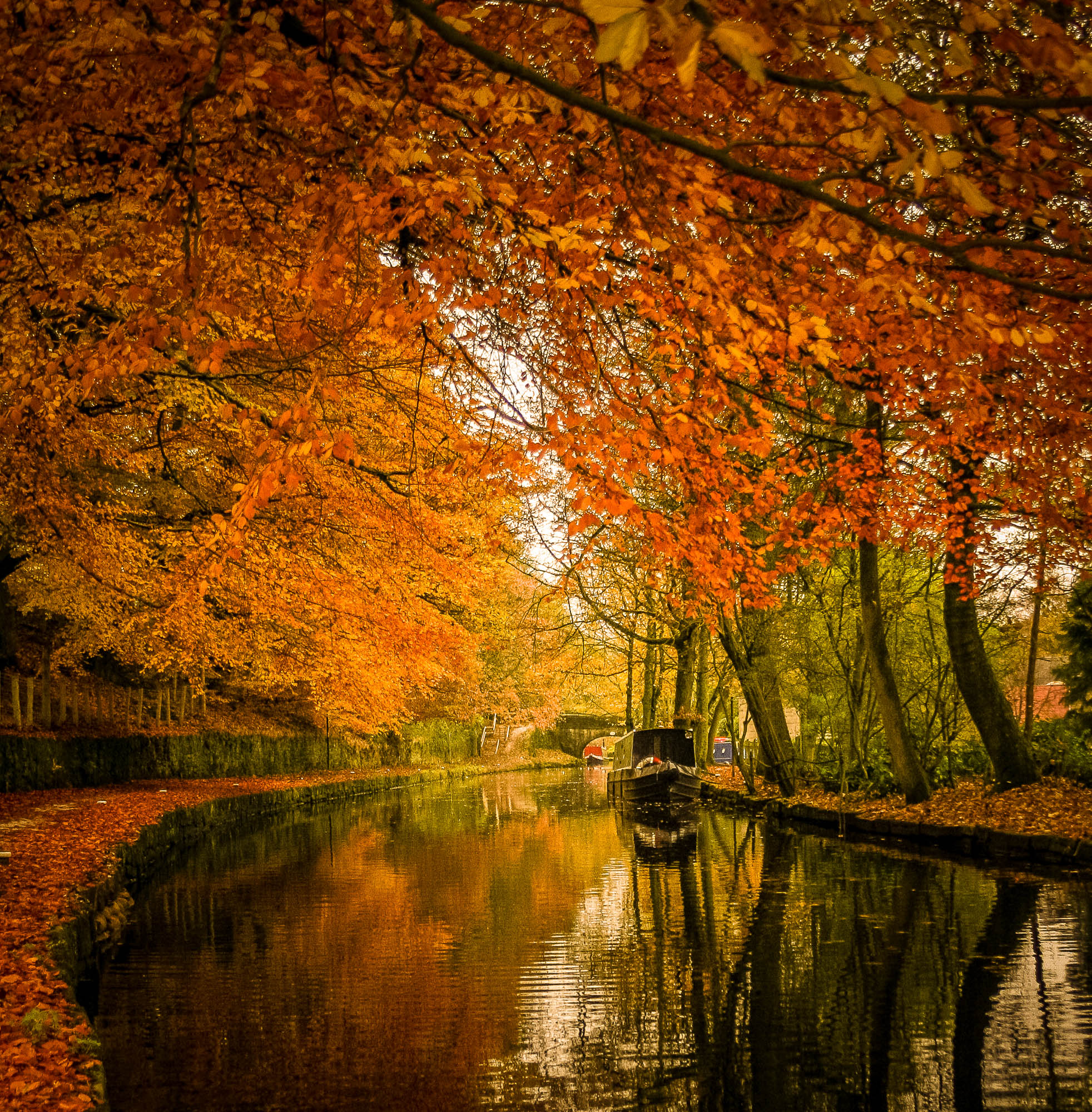 Focus: 10 beautiful examples of Autumnal photography to get you ...