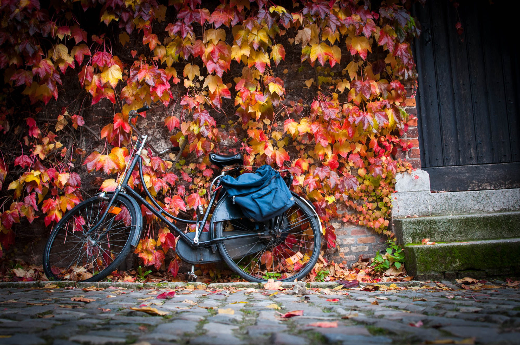 Focus: 10 beautiful examples of Autumnal photography to get you ...