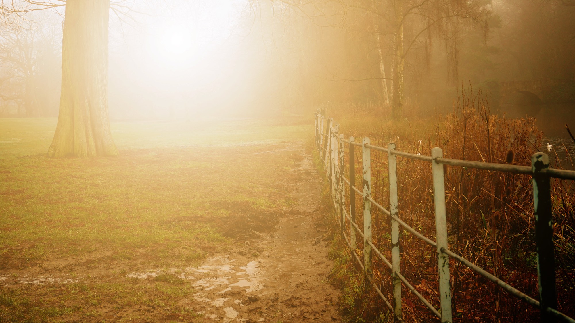 Focus: 10 beautiful examples of Autumnal photography to get you ...