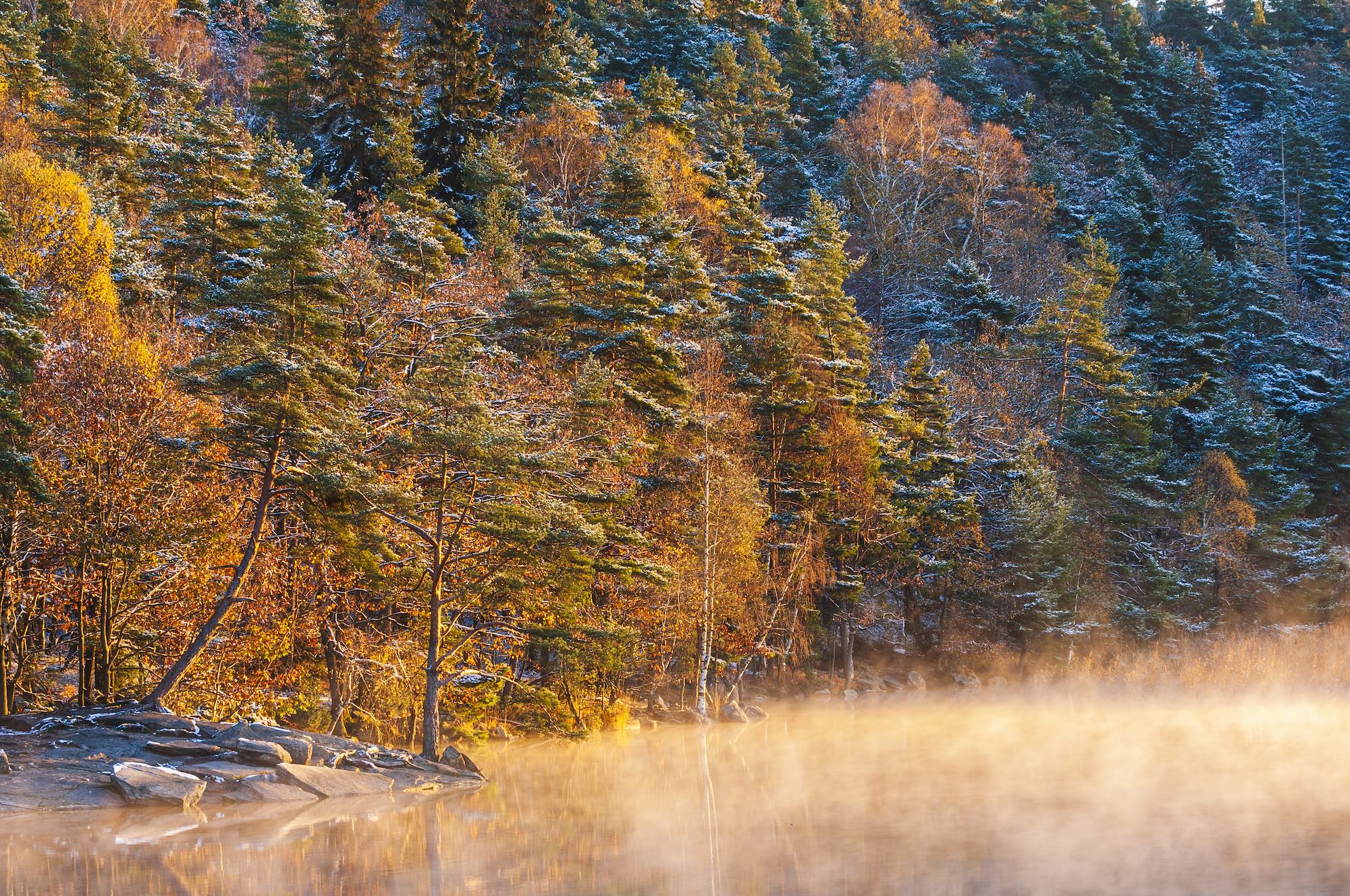 Focus: 10 beautiful examples of Autumnal photography to get you ...