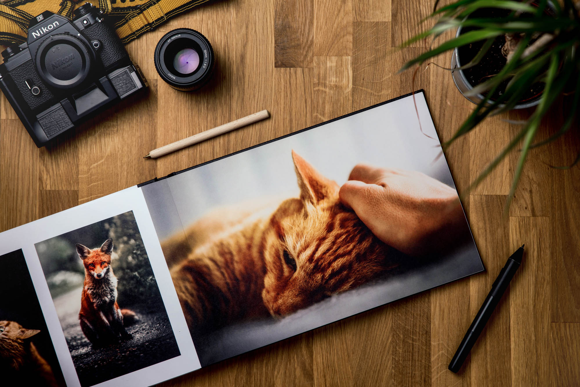Focus: How to create a successful photo book - tips and tricks