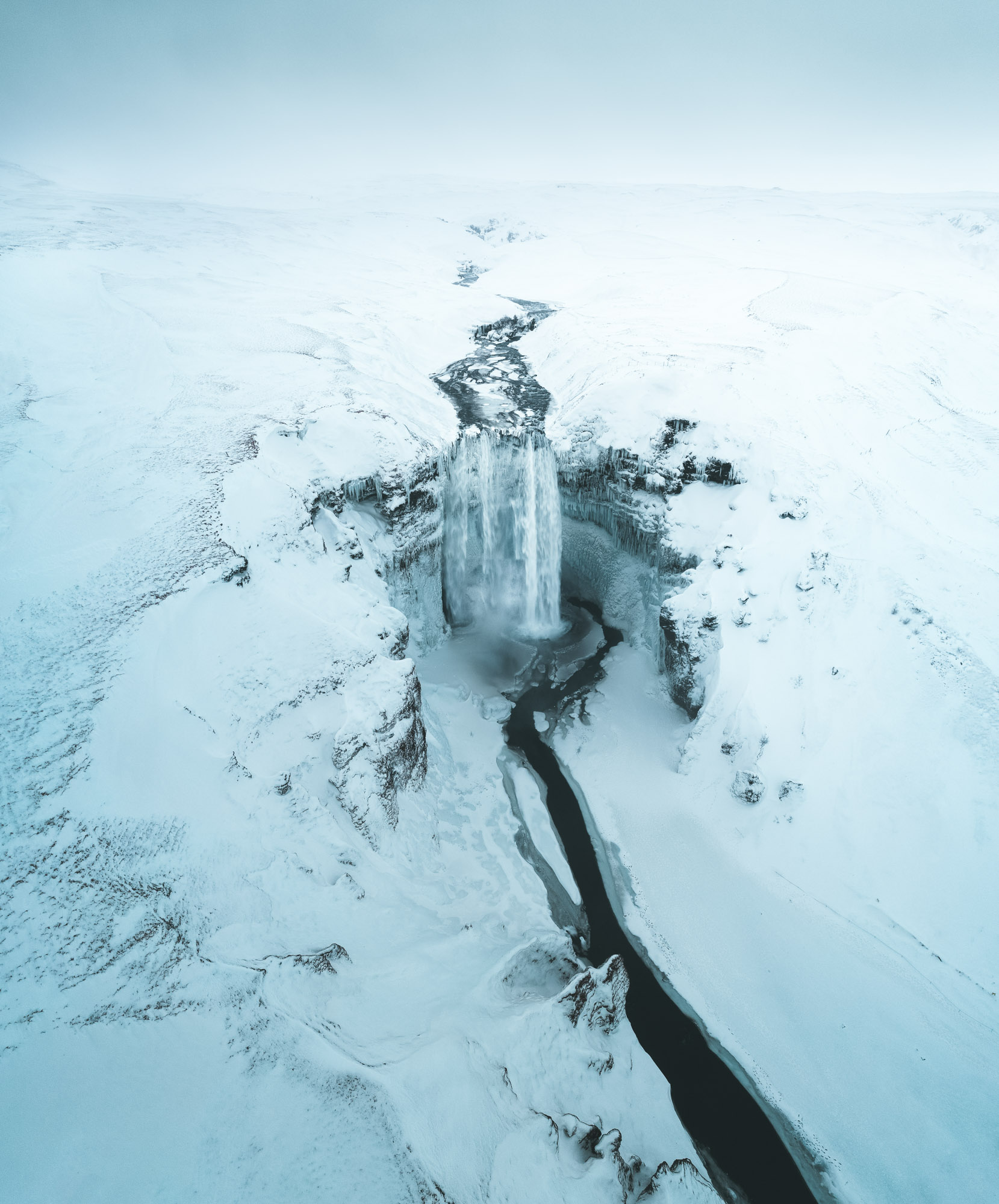 Focus: Best Images of Picfair Stores - 2022