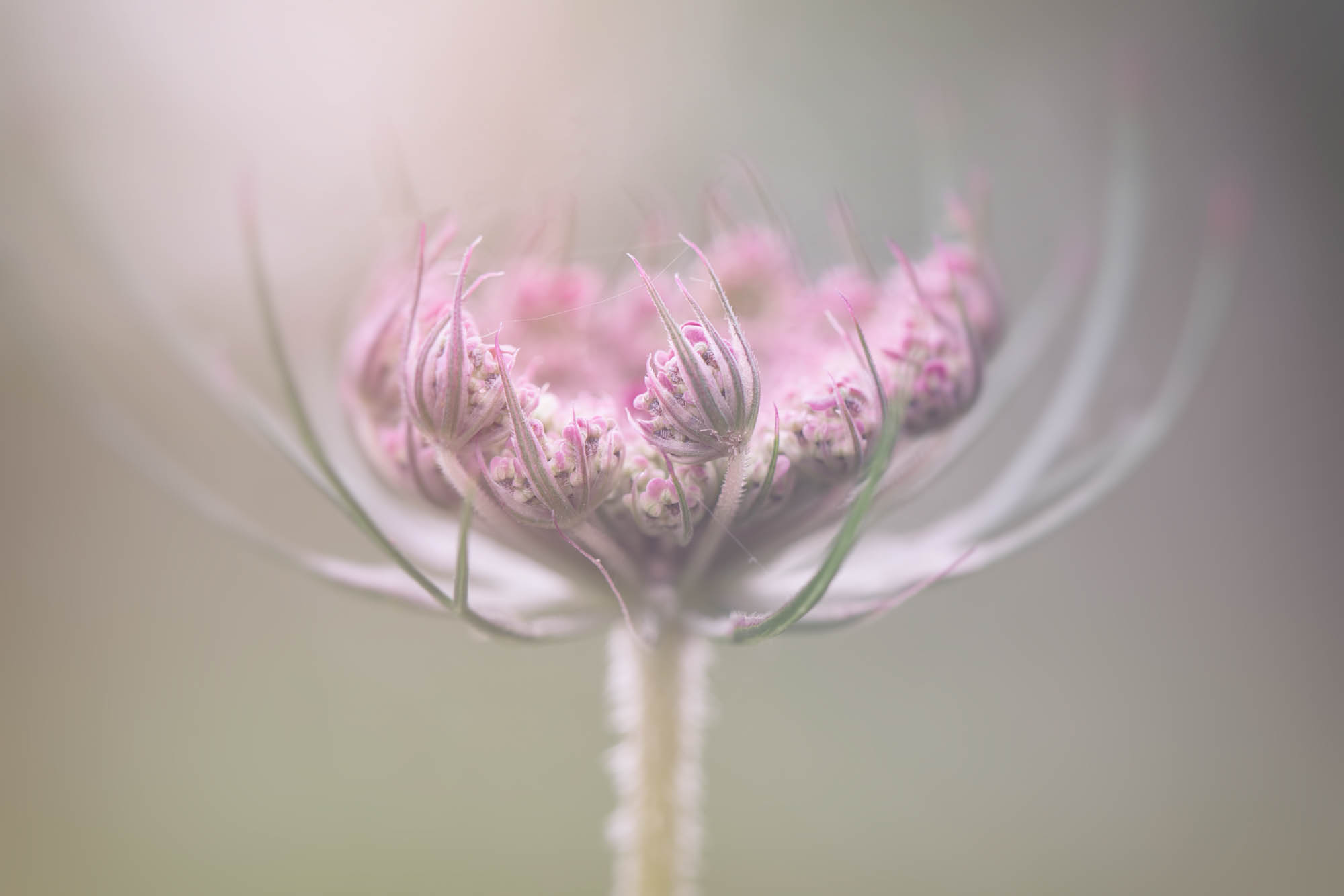 Focus: How to build a cohesive photography portfolio