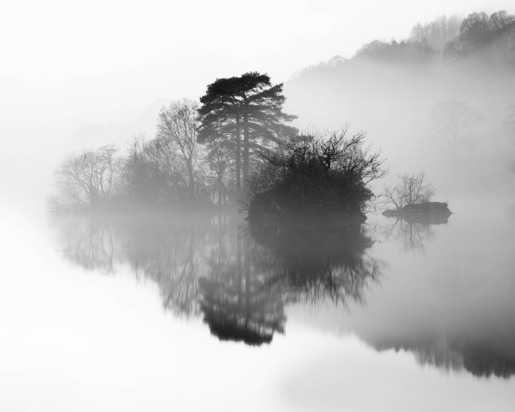 Focus: How to build a cohesive photography portfolio