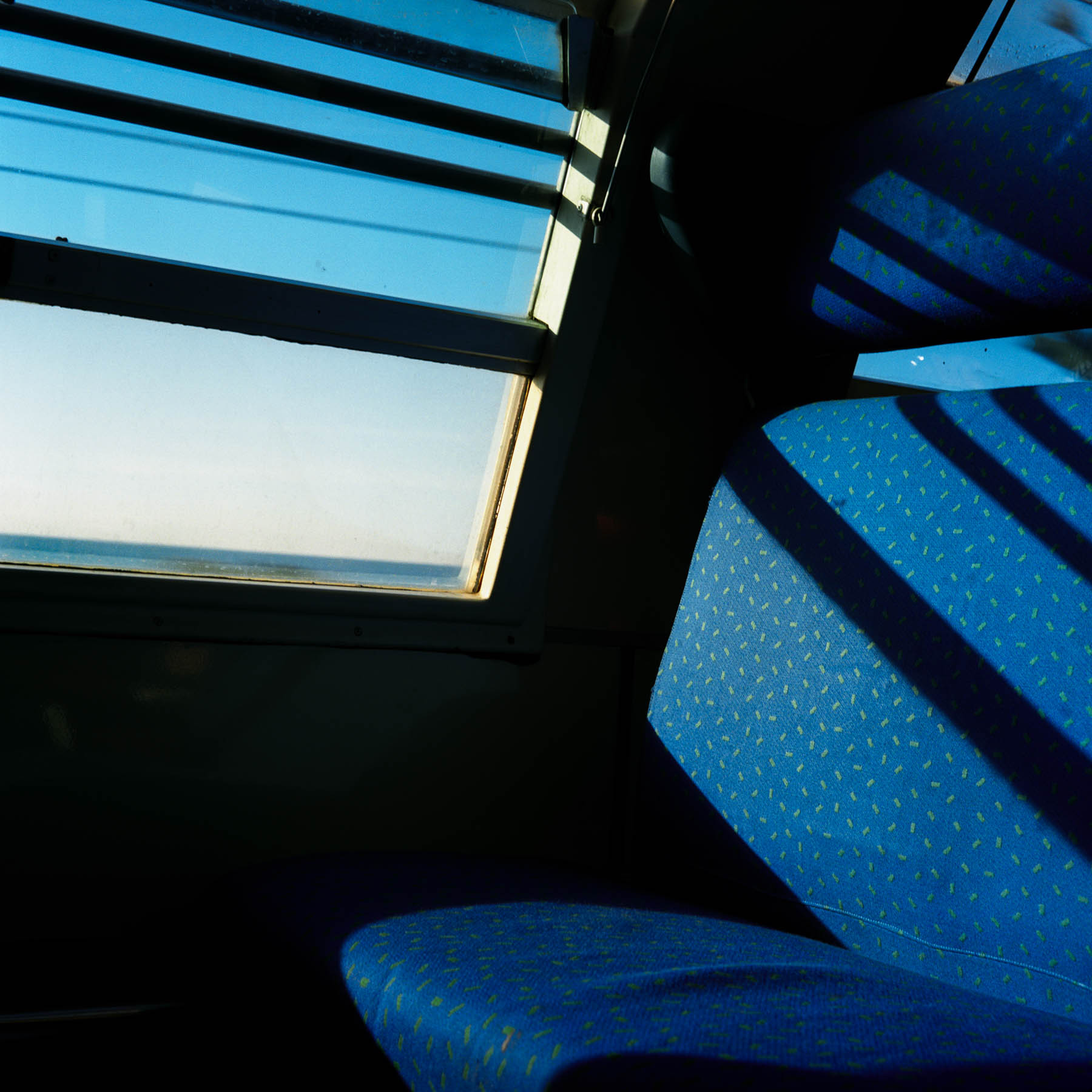 Focus: How a high ISO setting can be beautiful for your photos (with ...