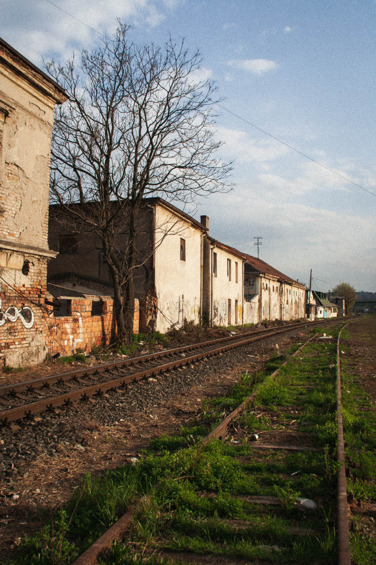 Focus: How a high ISO setting can be beautiful for your photos (with ...