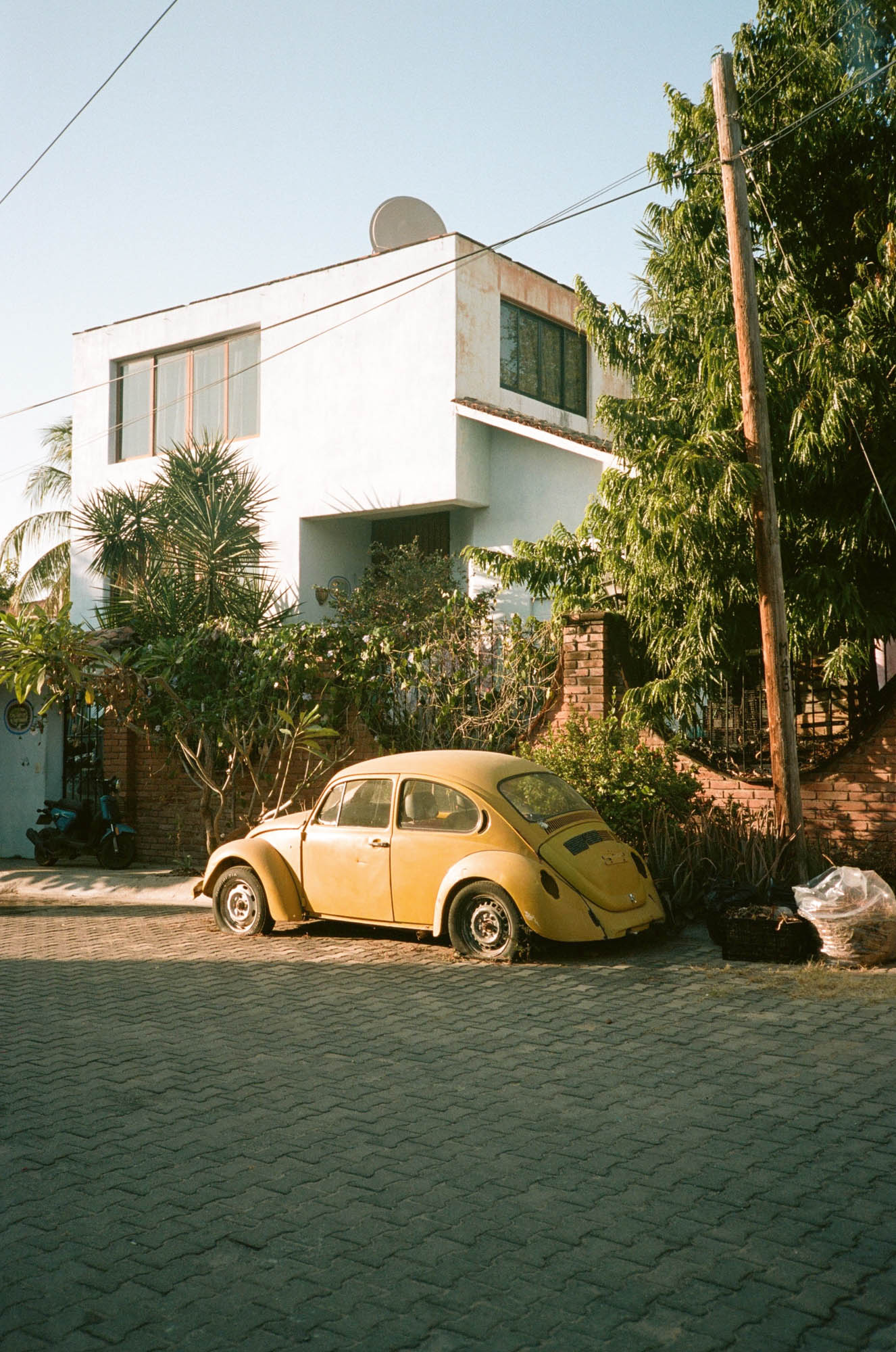 Focus: Best images from Picfair Stores - March 2023