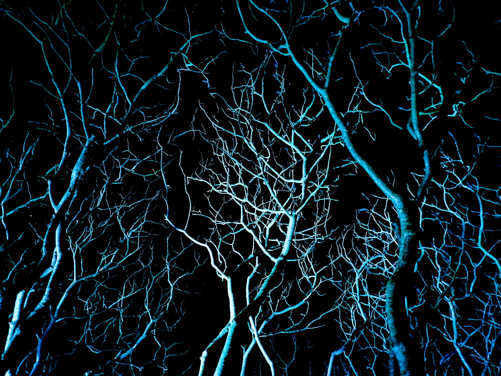 Focus: Gallery - 15 beautiful examples of the neon aesthetic