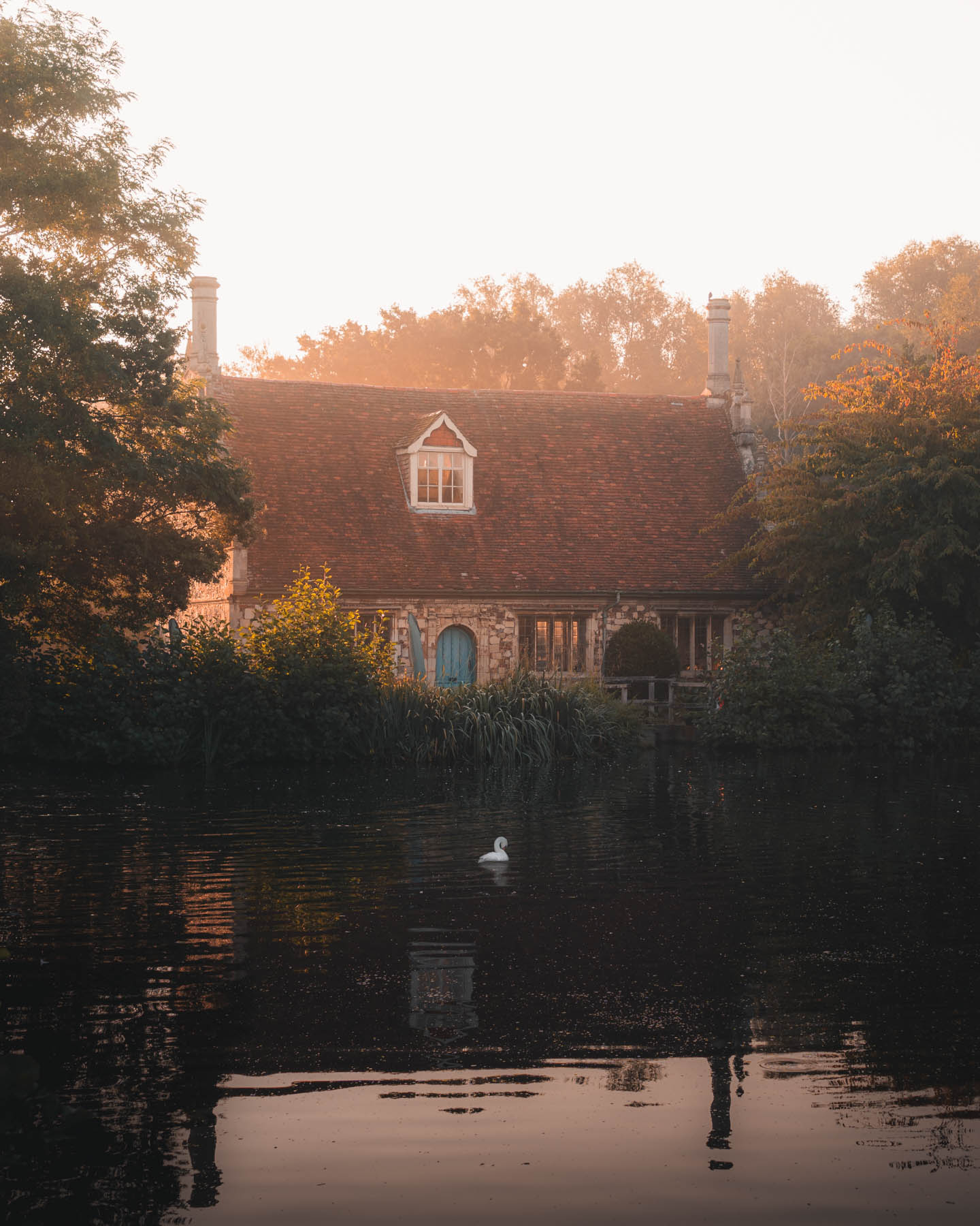 Focus: Best images from Picfair Stores - April 2023