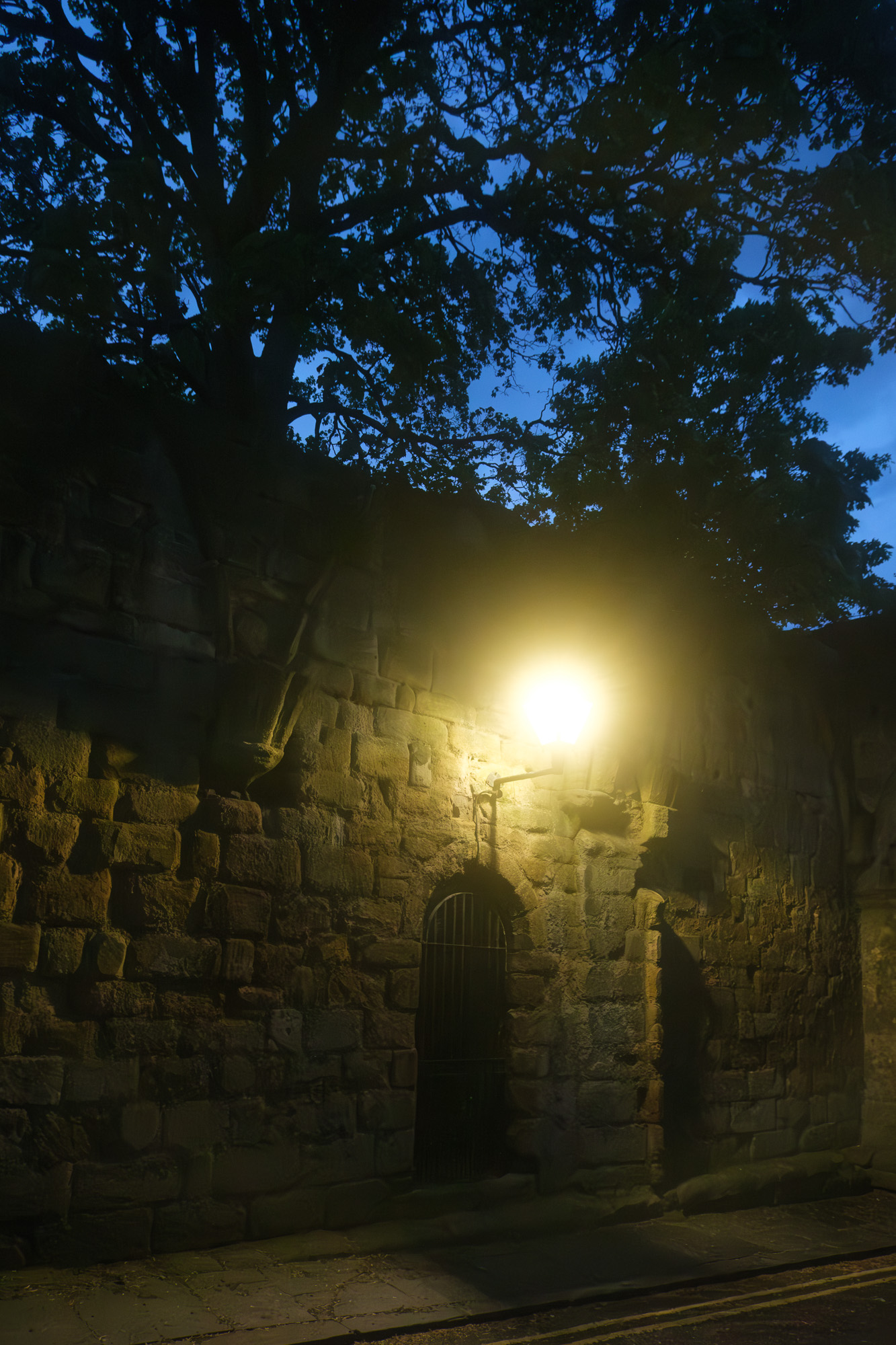 Focus: A beginner's guide to black mist filters (& why they are amazing ...