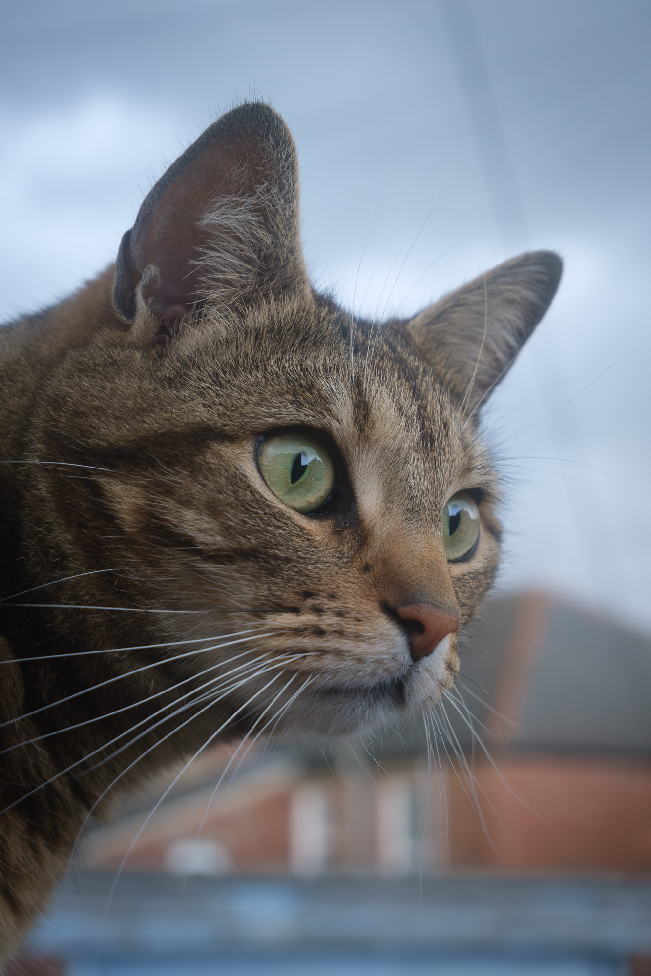 Focus: A beginner's guide to black mist filters (& why they are amazing ...