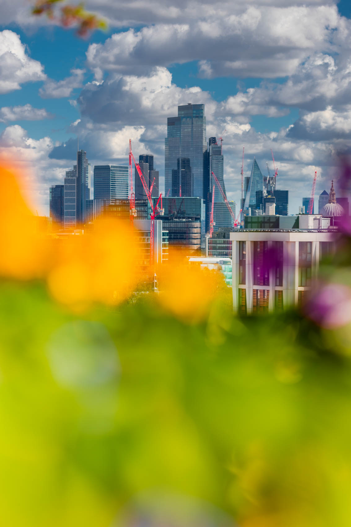 Focus: Best images from Picfair Stores - May 2023