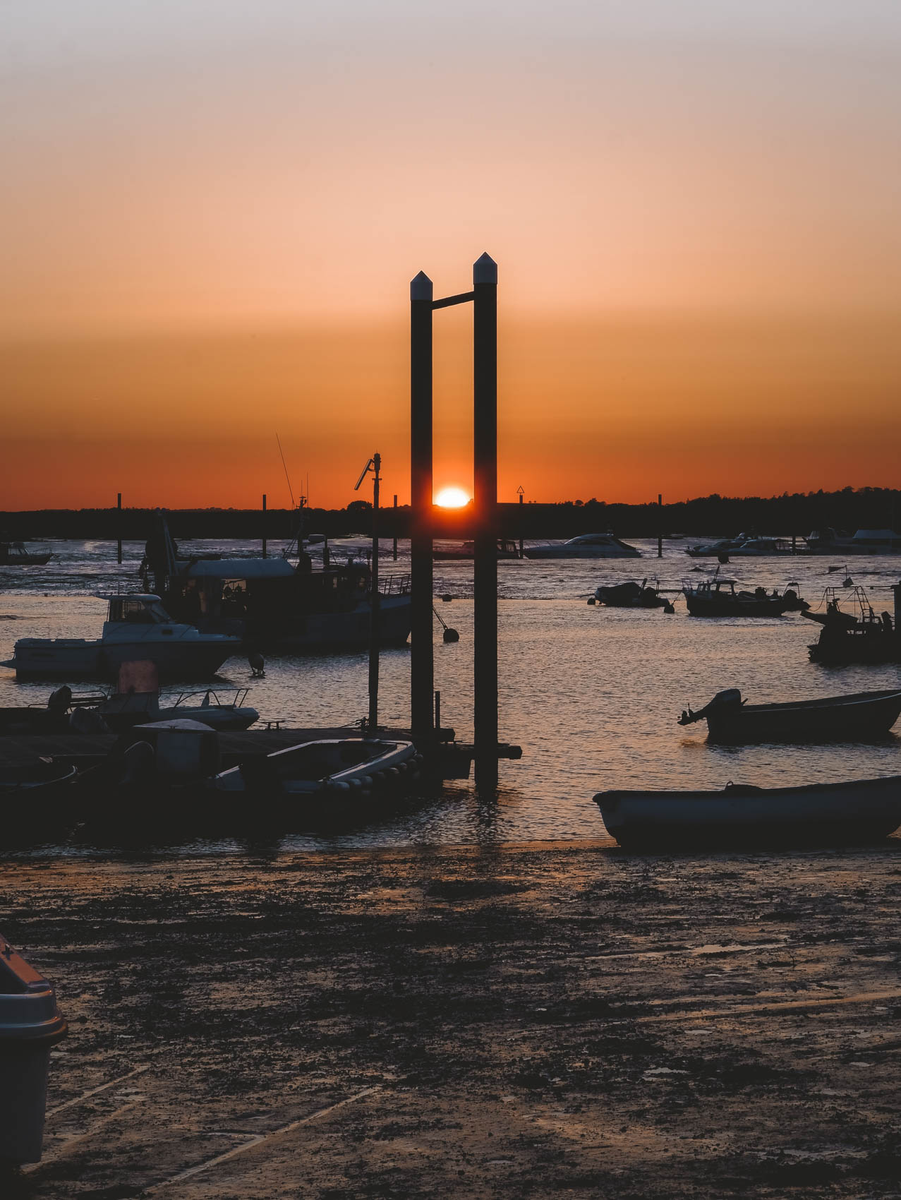 Focus: Best images from Picfair Stores - May 2023