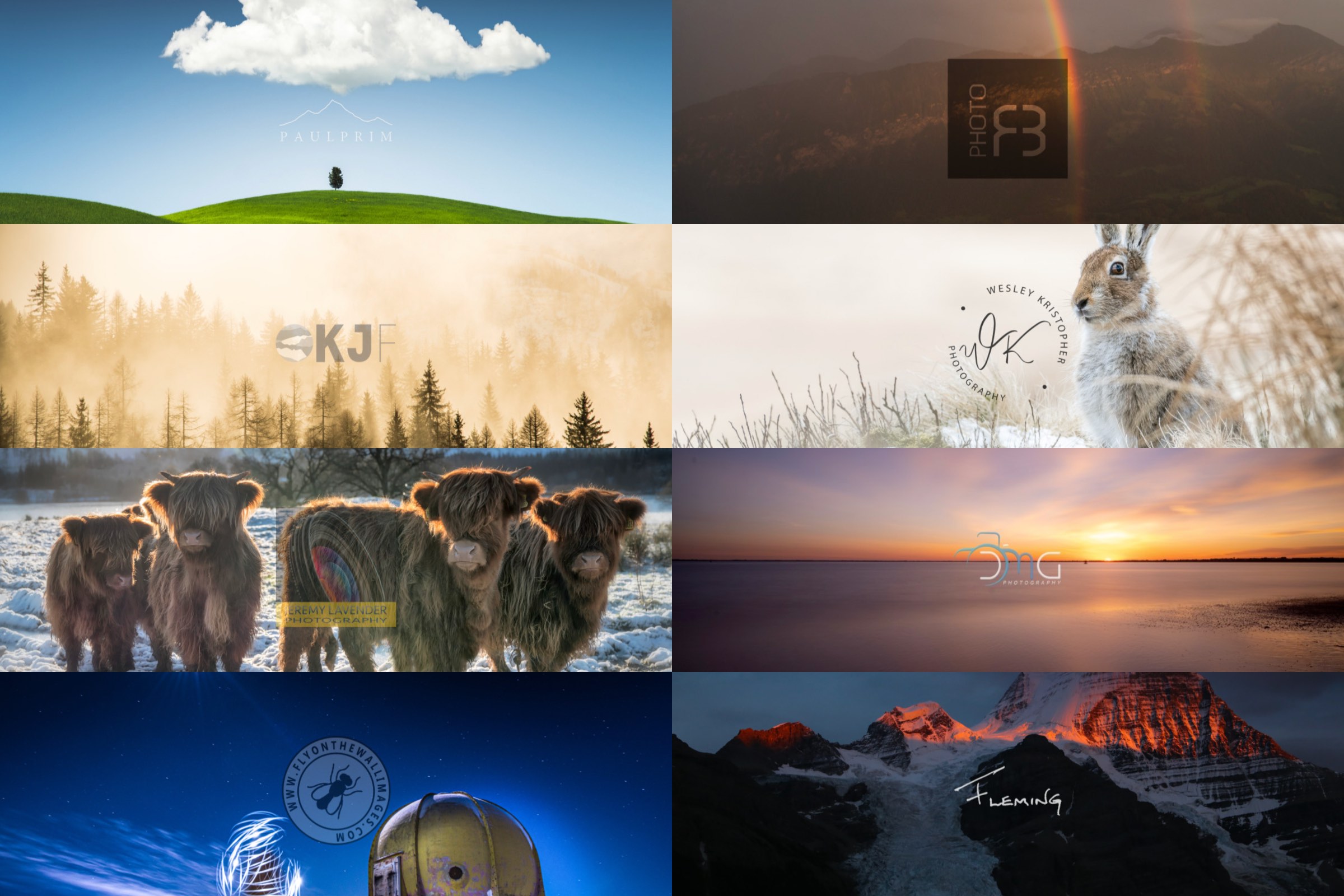 Focus: The power of custom watermarks (and how to add your own to your ...