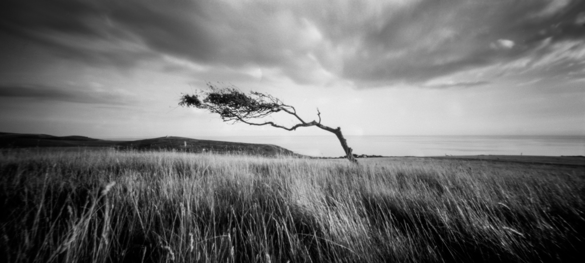 Focus: Photo Series Spotlight - Pinhole photography by Will Gudgeon