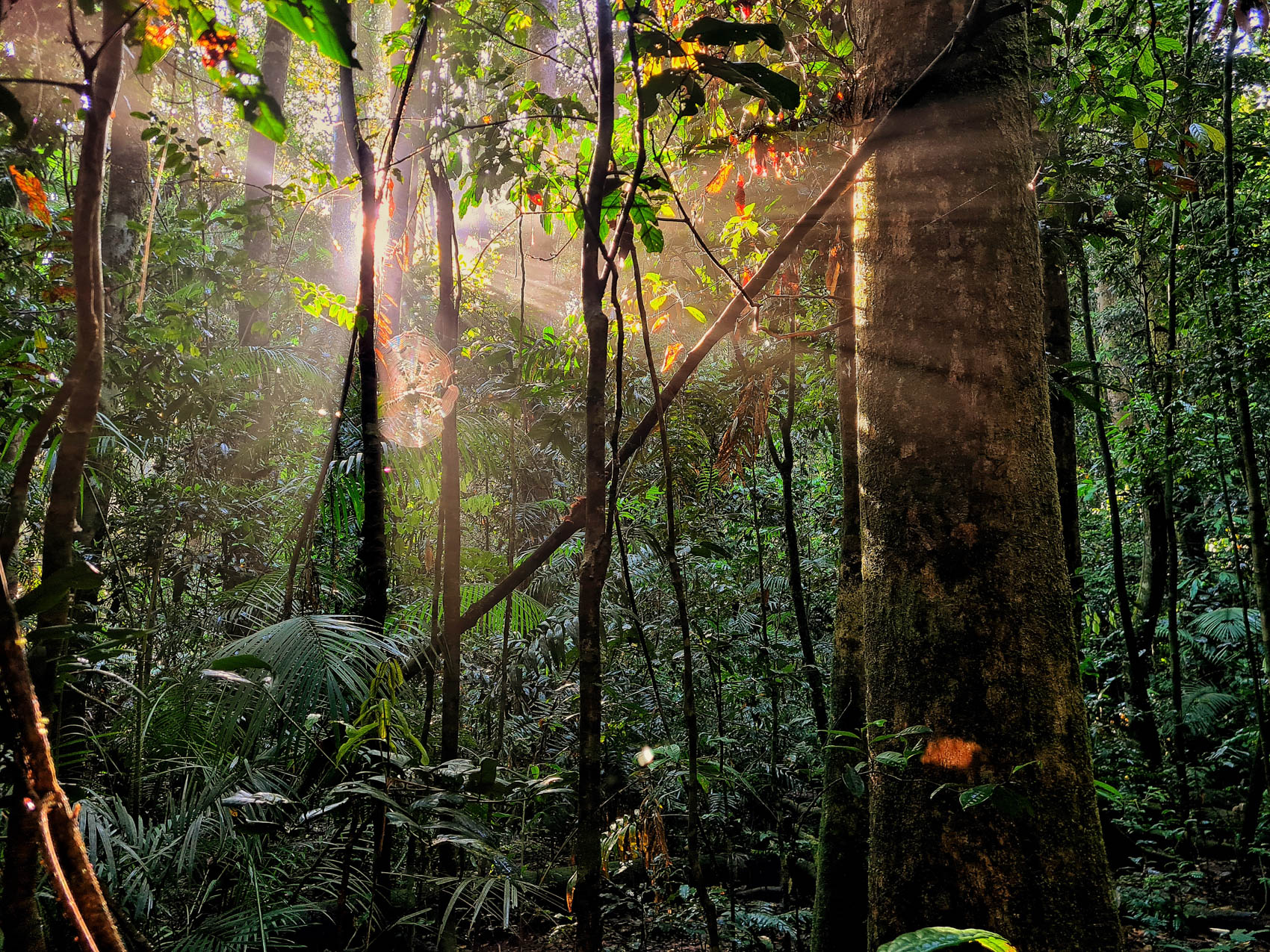 Focus: Sold on Picfair Stores - 28 July 2023