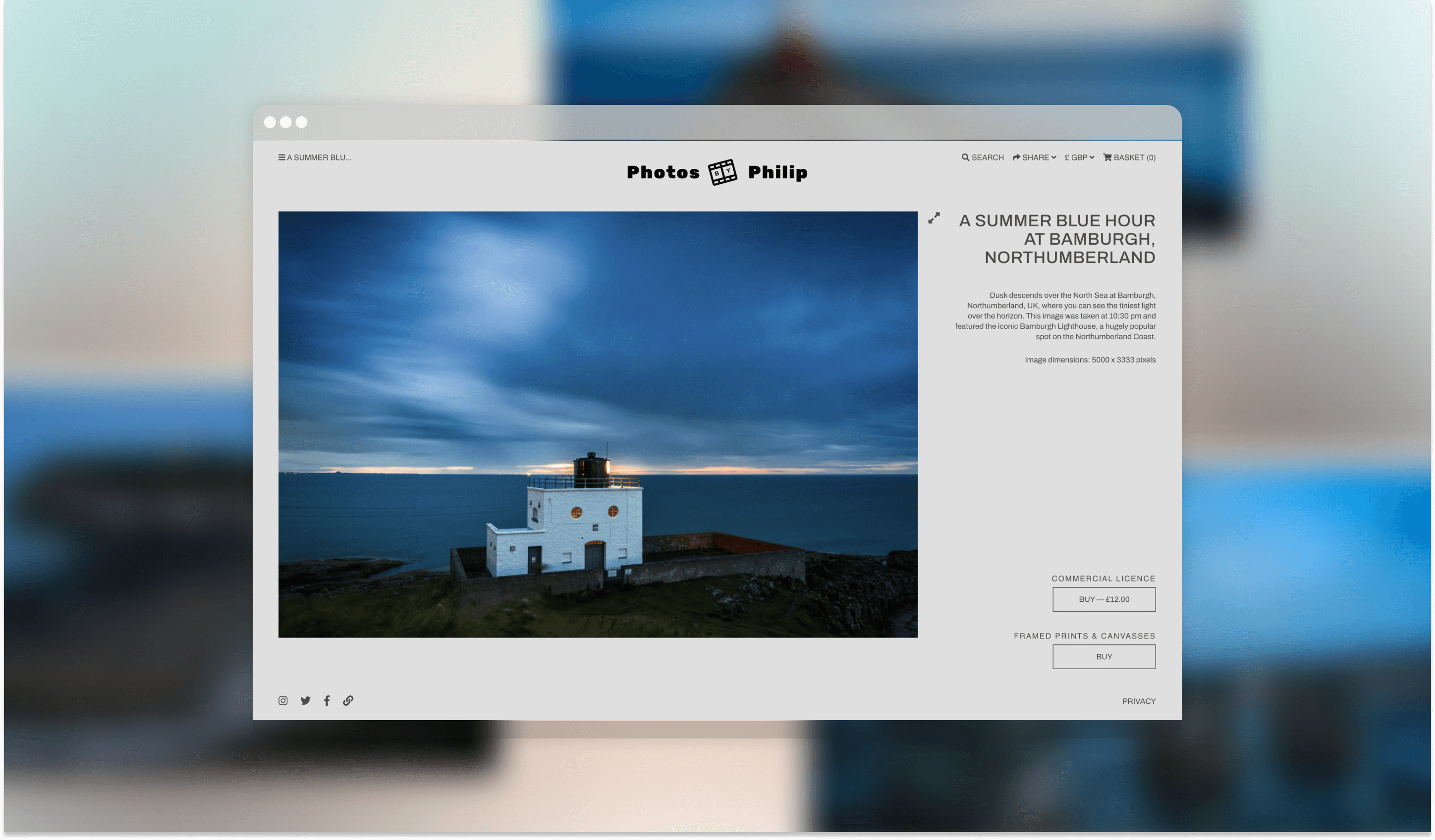 Focus: Why you should add titles and captions to your photos: 5 ...