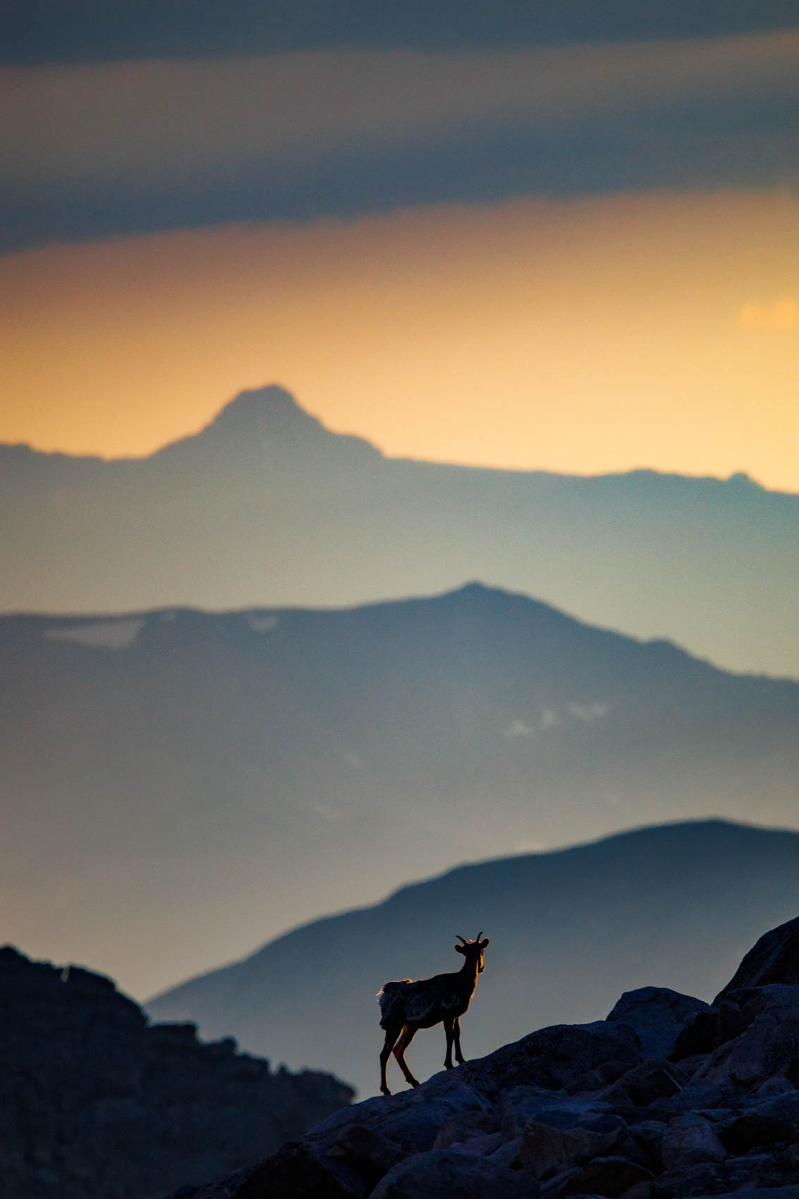 Focus: Best images from Picfair Stores - August 2023