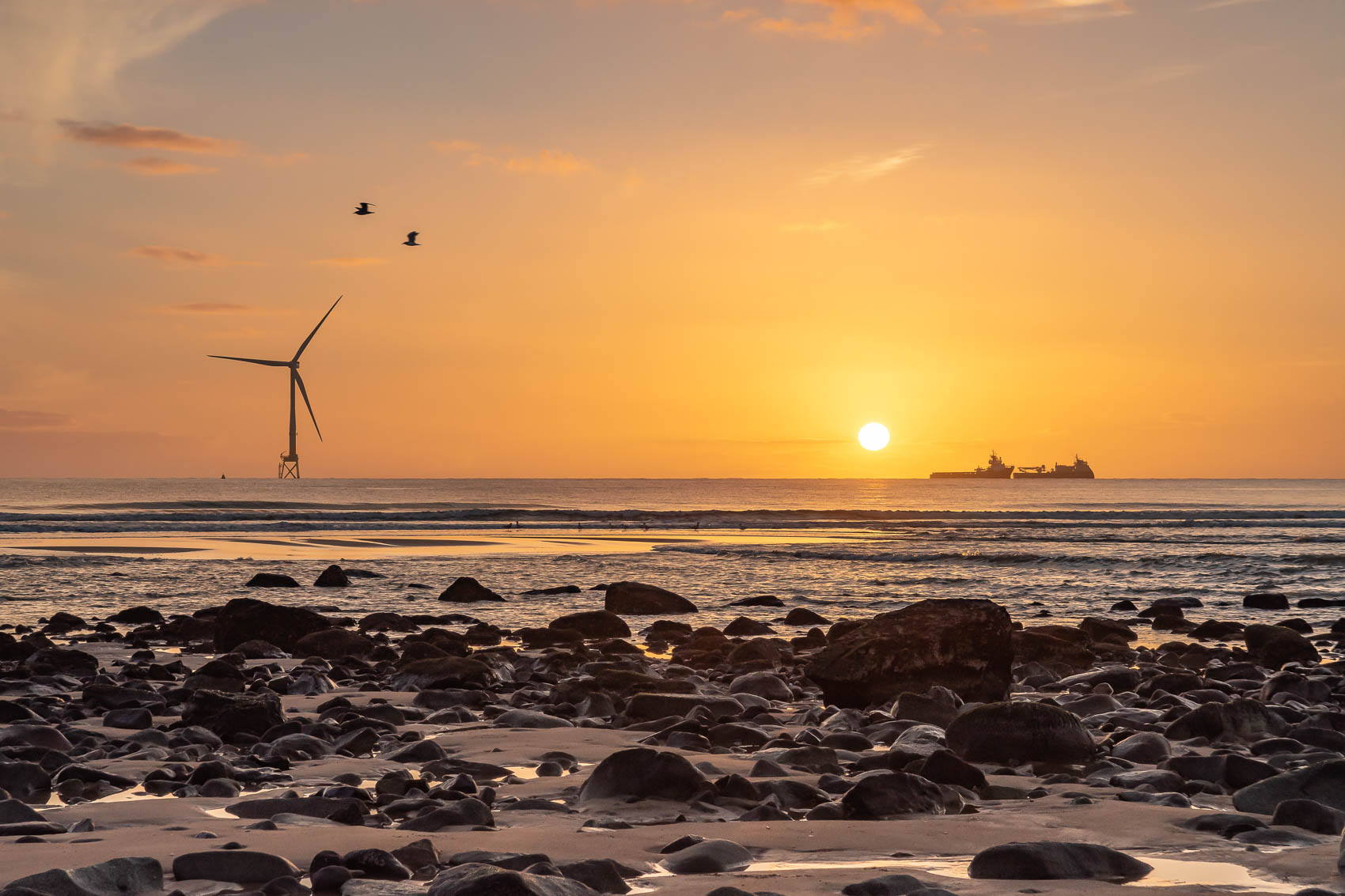 Focus: Sold on Picfair Stores - 07 September 2023