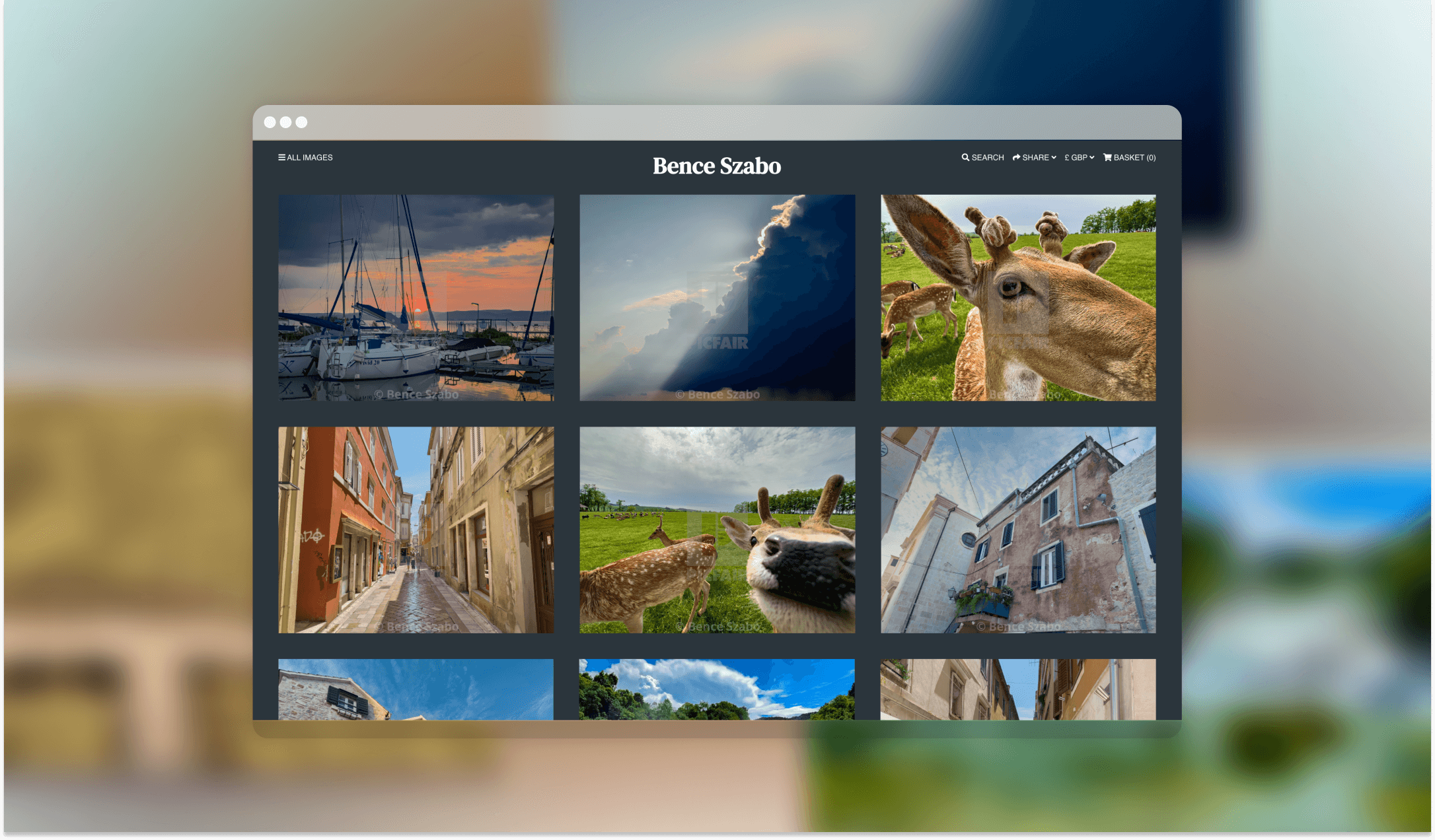 Focus: How I sell my photos with Picfair Stores: Interview with ...