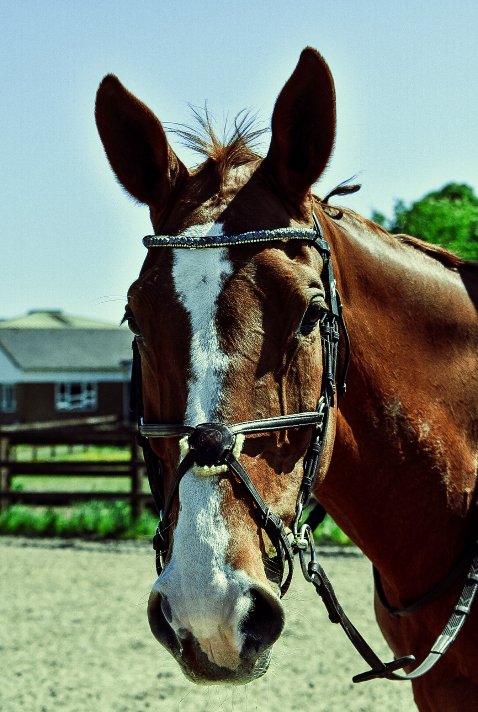 Focus: How I sell photos with my Picfair Store: In conversation with ...