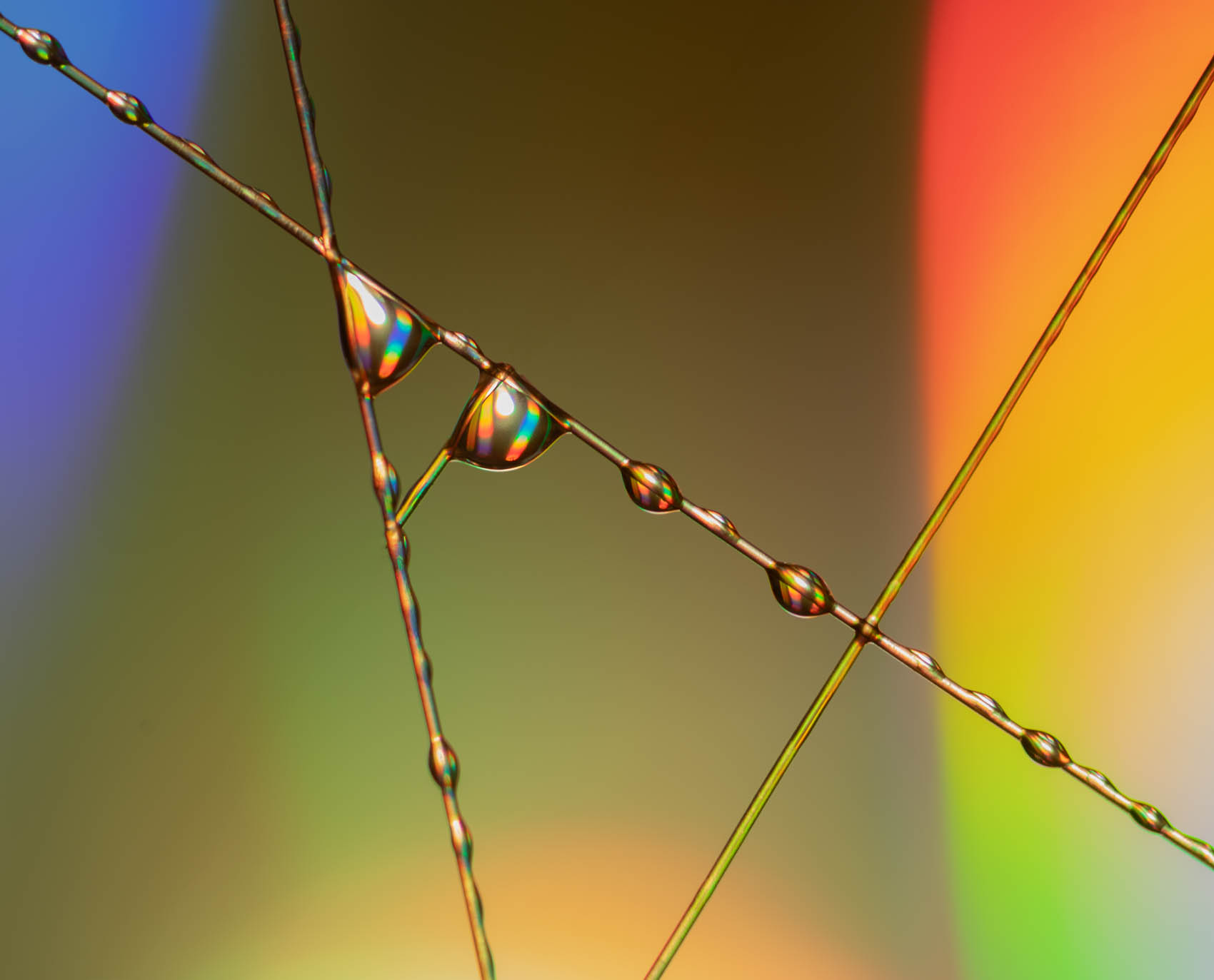 Focus: Best images from Picfair Stores - September 2023