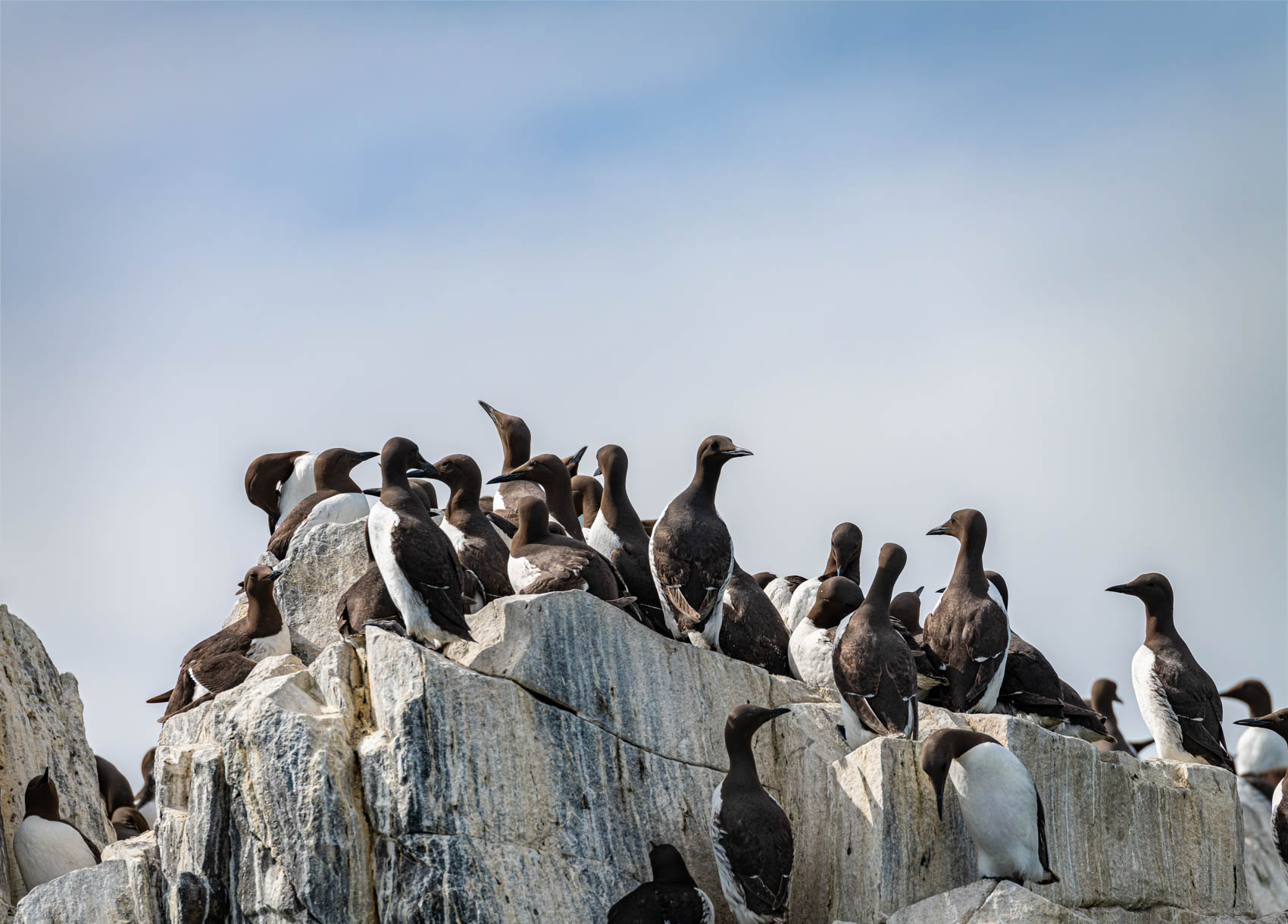 Focus: Best images from Picfair Stores - September 2023