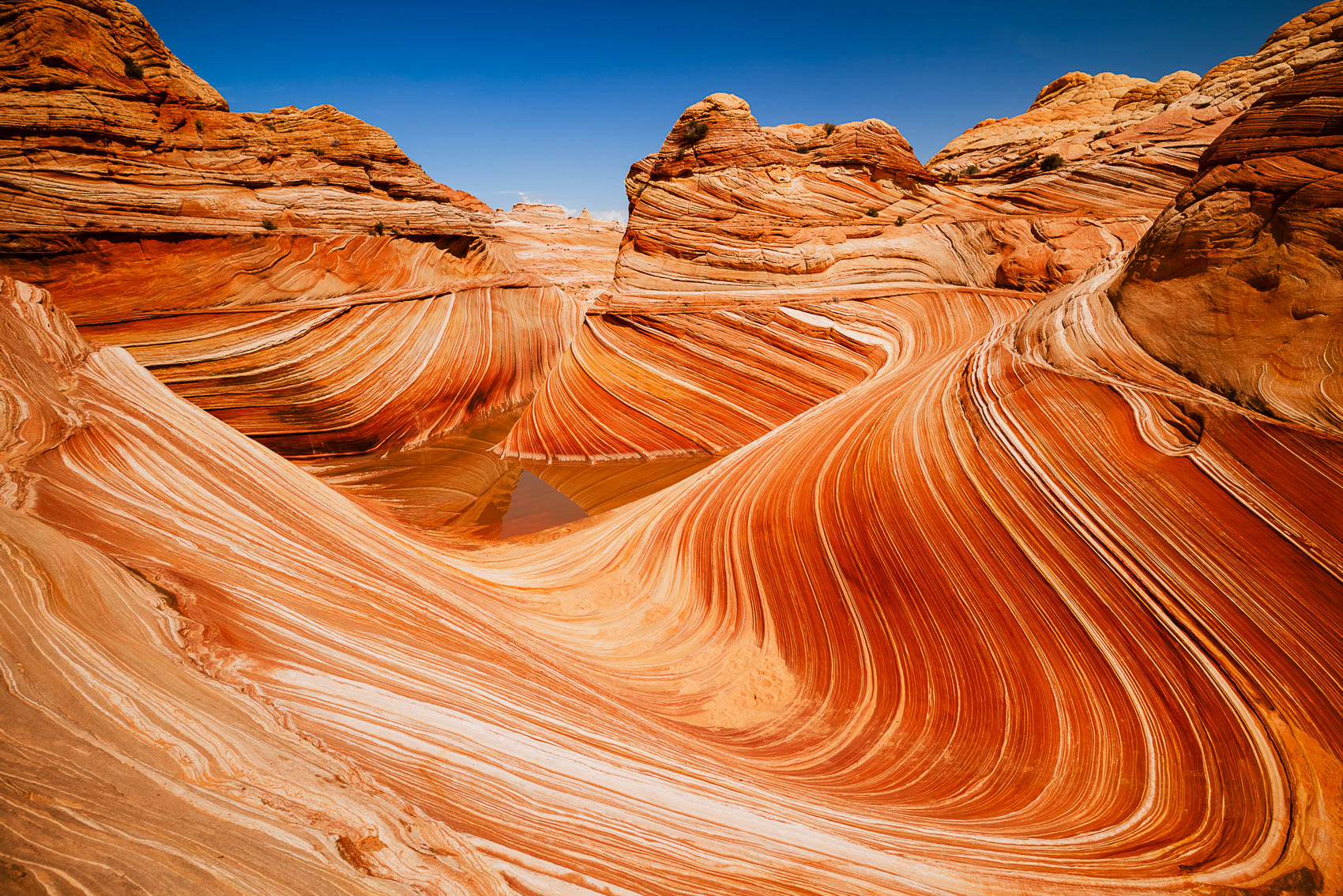 Focus: Best images from Picfair Stores - September 2023