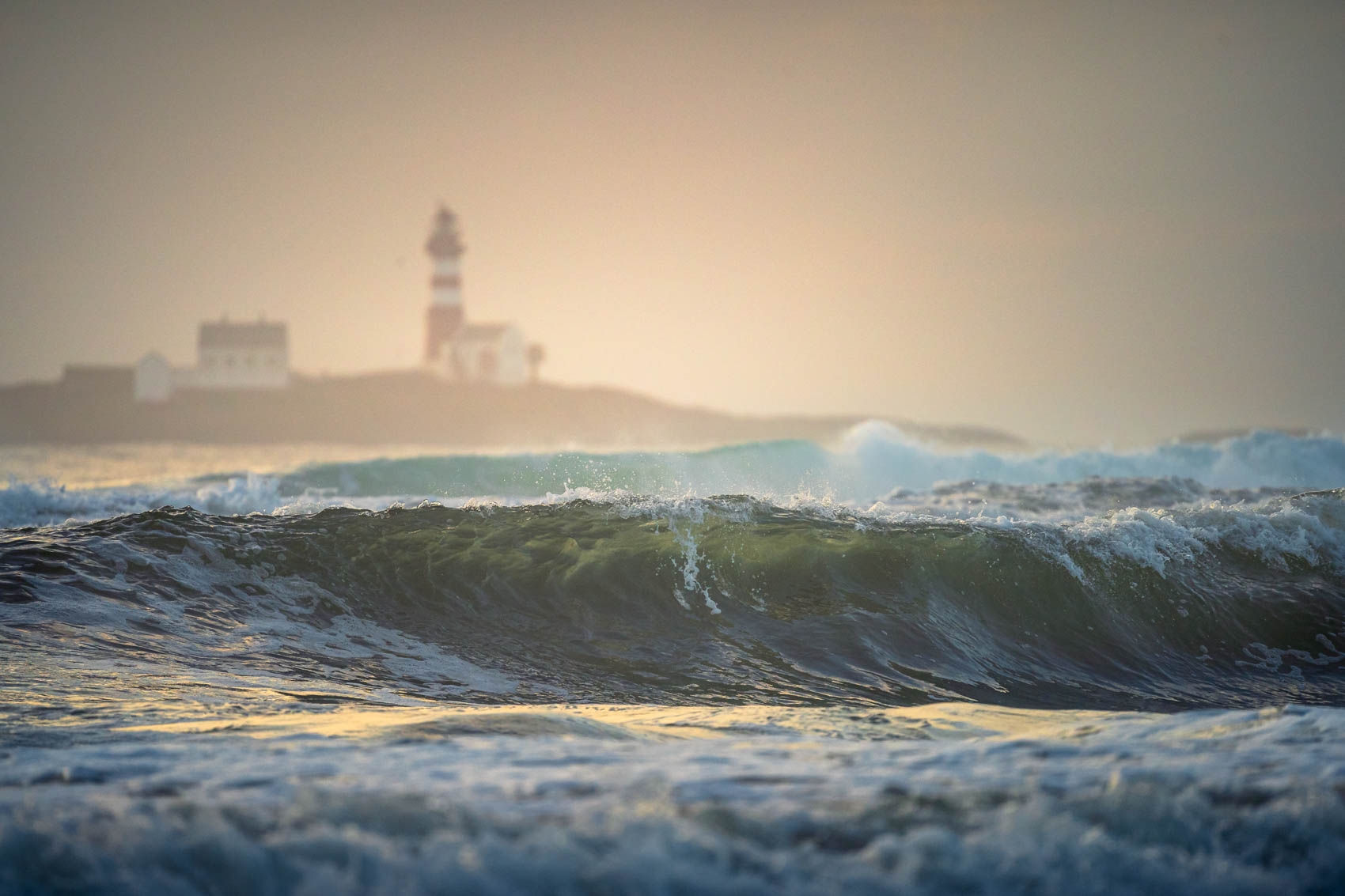 Focus: Best images from Picfair Stores - September 2023