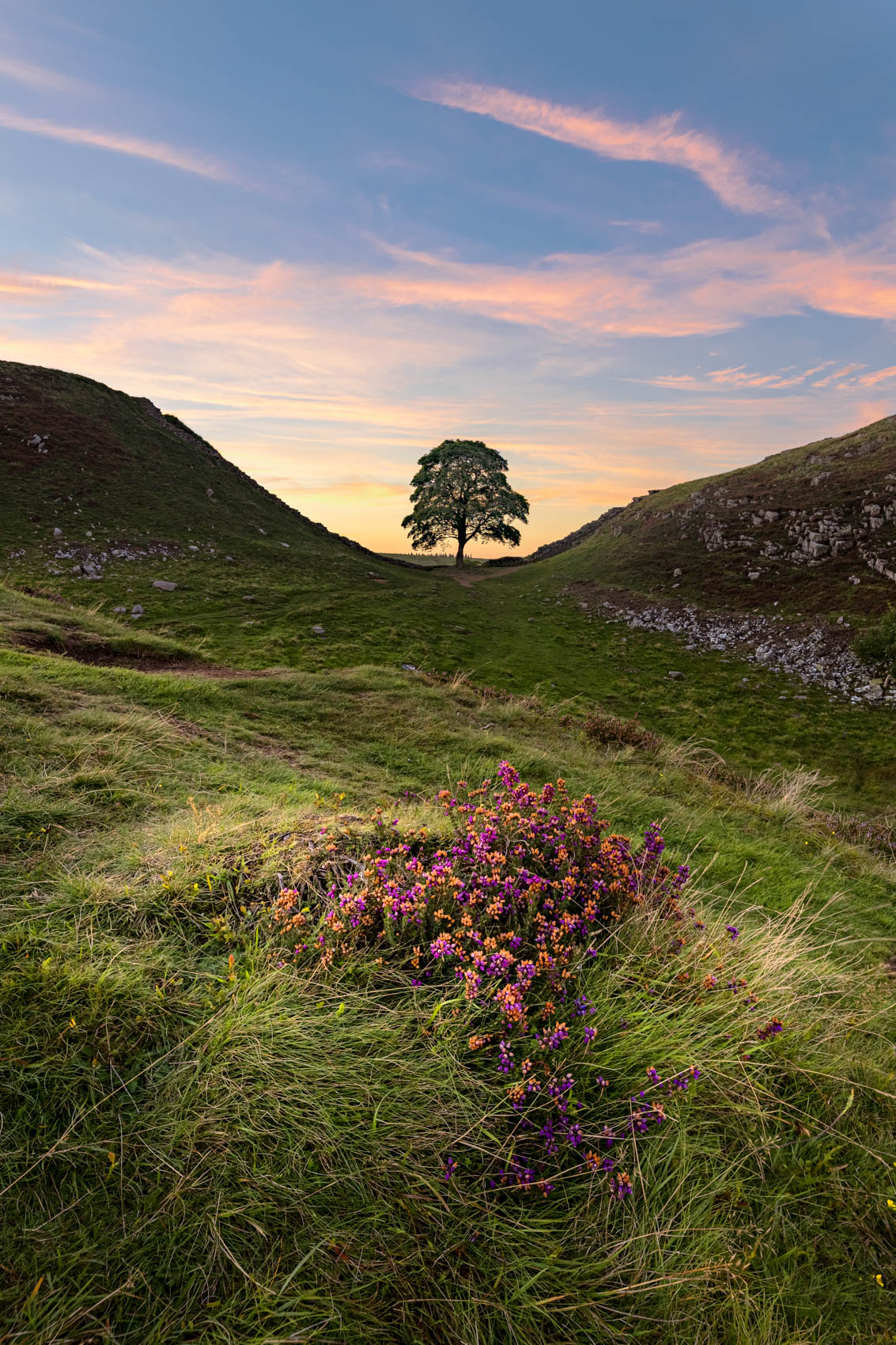 Focus: Best images from Picfair Stores - September 2023