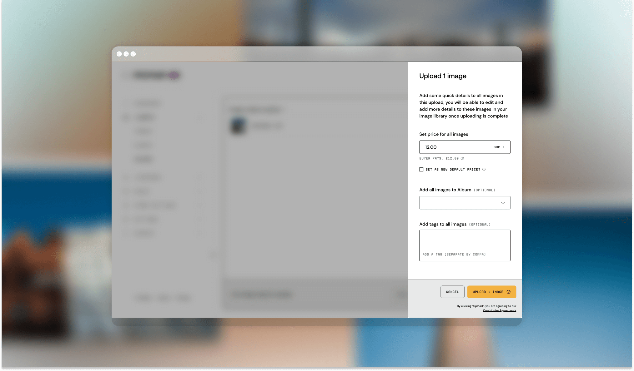 Focus: How to price your images for the first time: 5 top tips