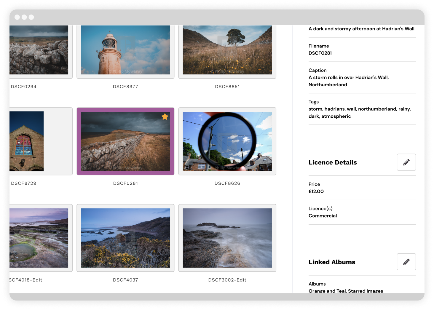 Focus: How to tag the photos in your Picfair Store: The Ultimate Guide