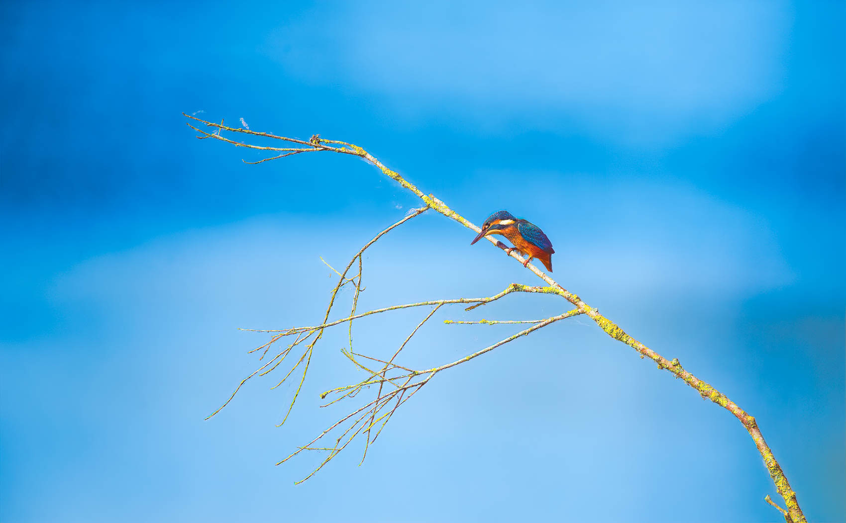Focus: Best images from Picfair Stores - November 2023