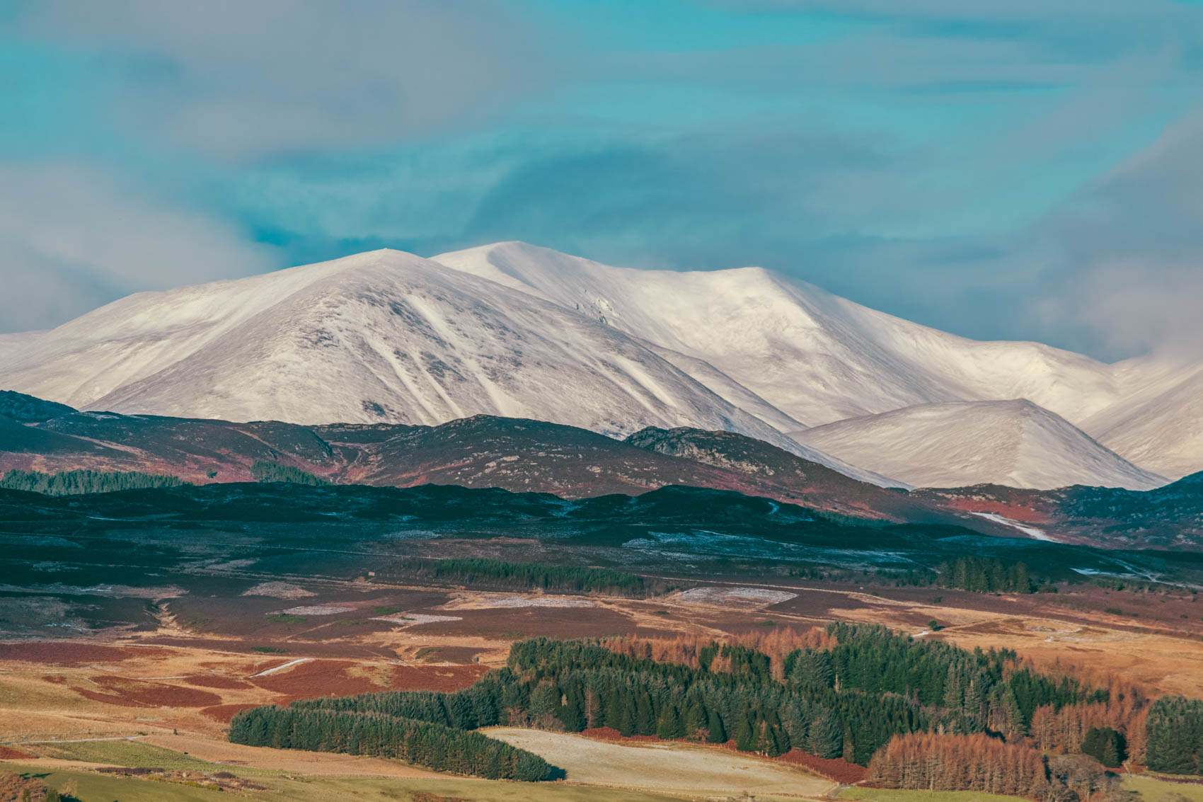 Focus: Best images from Picfair Stores - November 2023