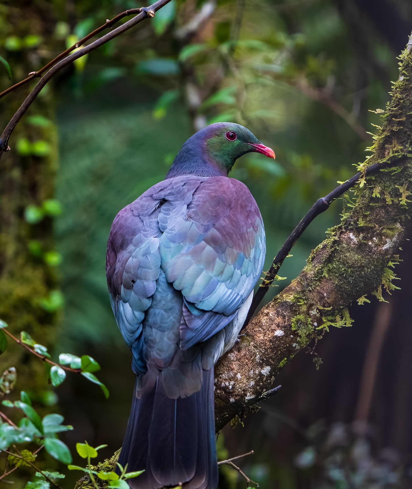 Focus: Sold on Picfair Stores - 27 January 2024