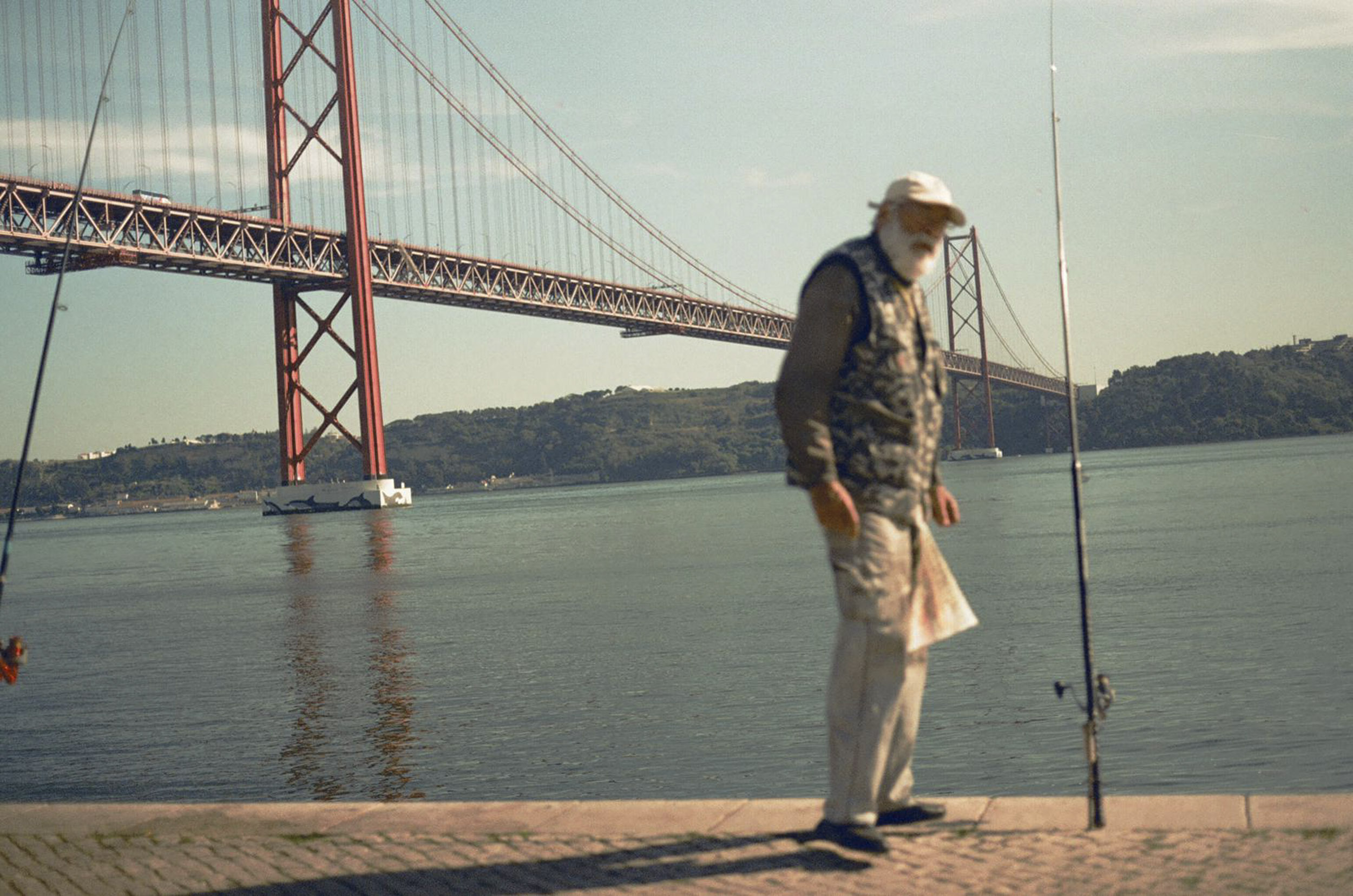 Focus: Best Images from Picfair Stores - January 2024