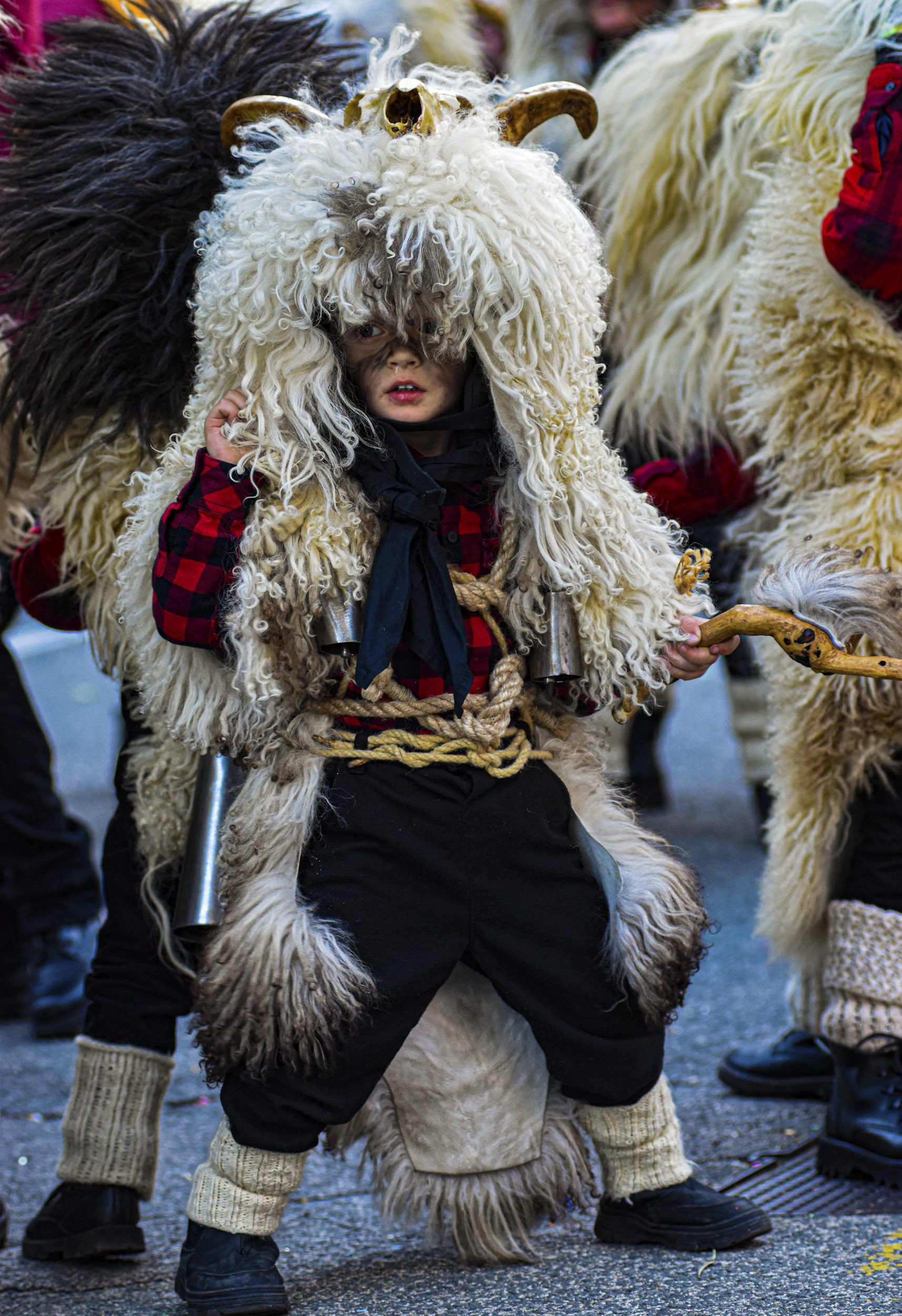 Focus: Best Images from Picfair Stores - January 2024