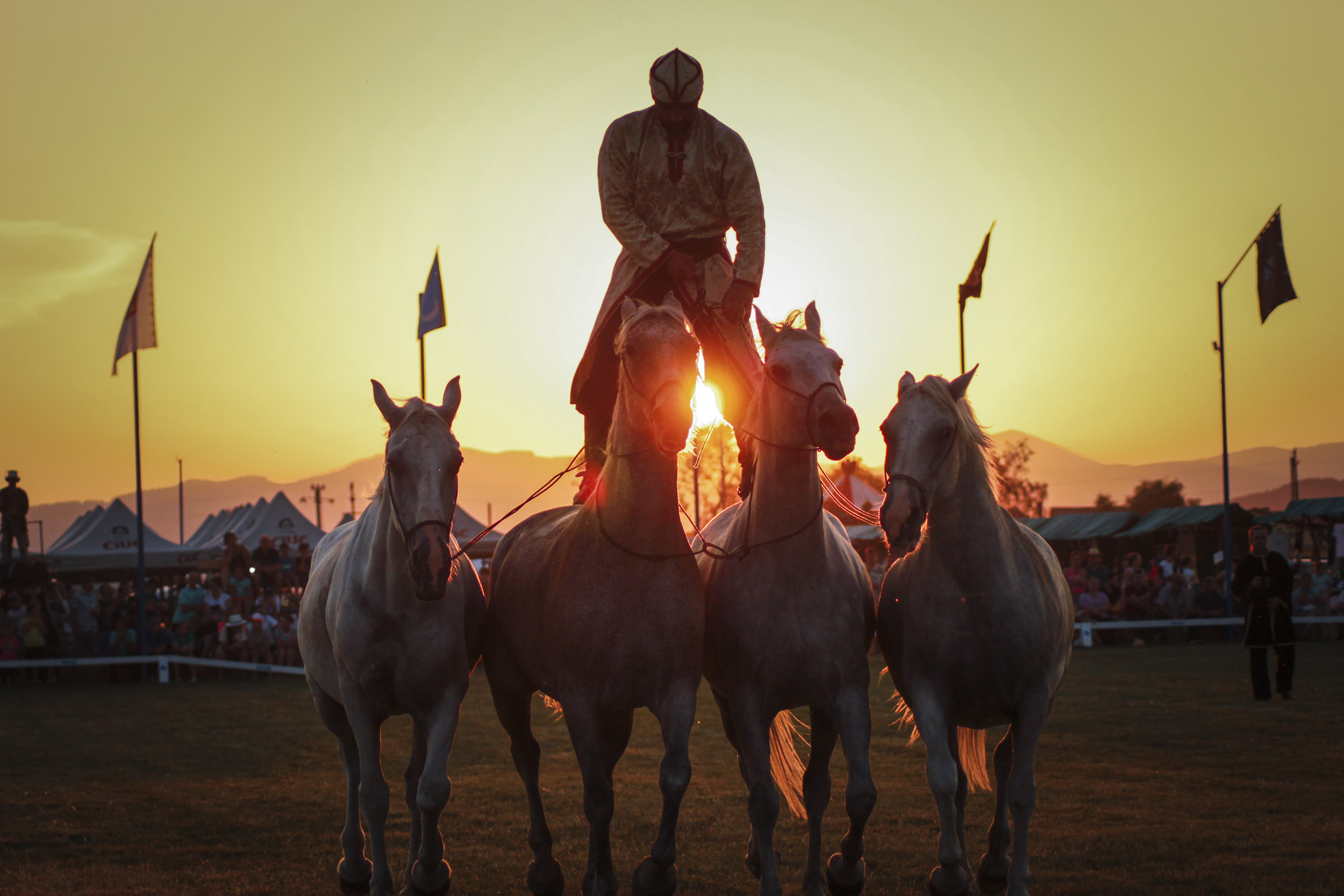 Focus: Best Images from Picfair Stores - January 2024