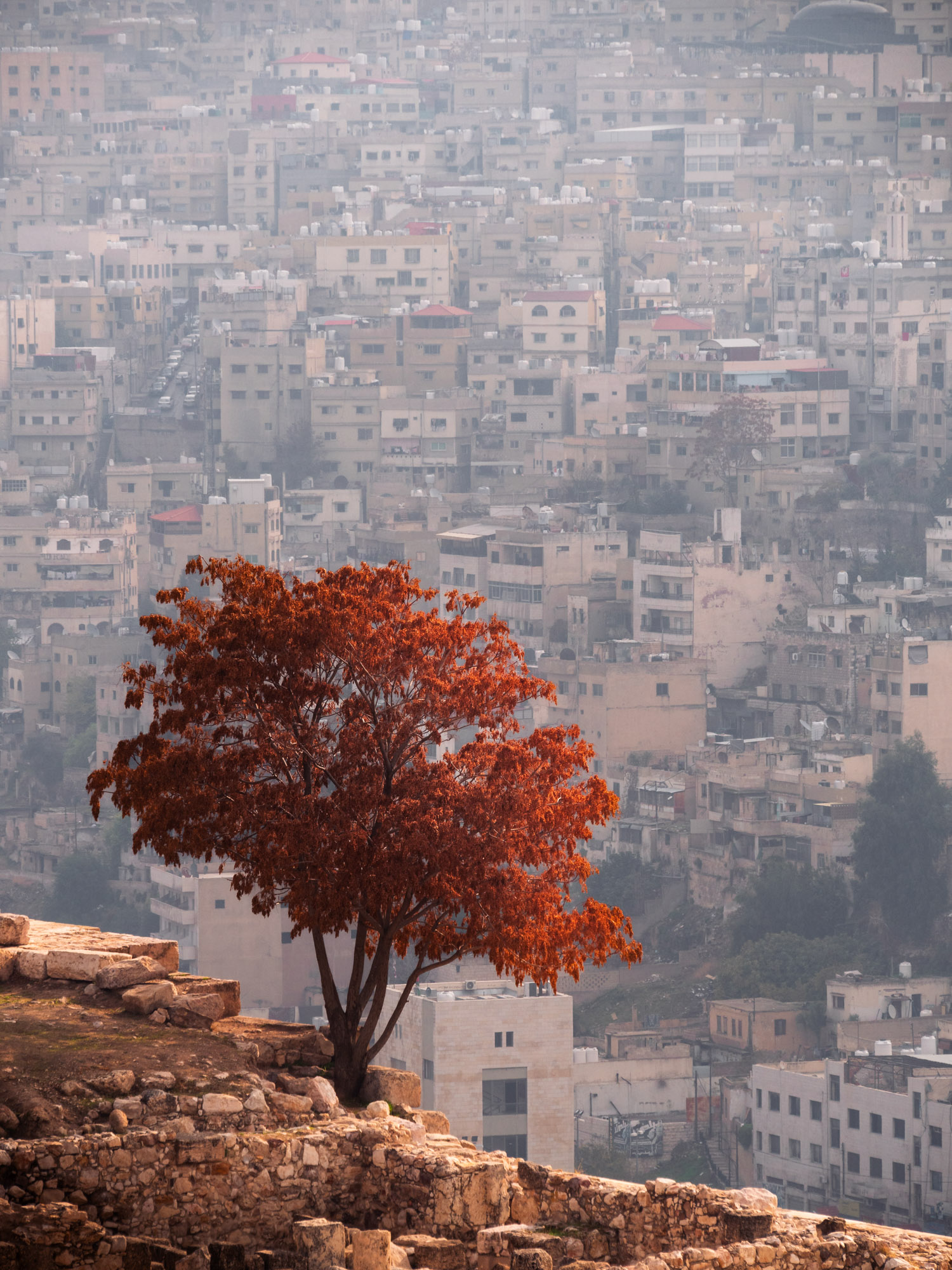 Focus: Best Images from Picfair Stores - February 2024