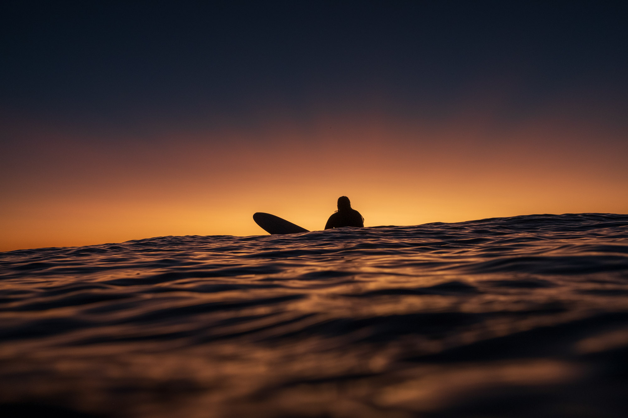 Focus: Best Images from Picfair Stores - February 2024