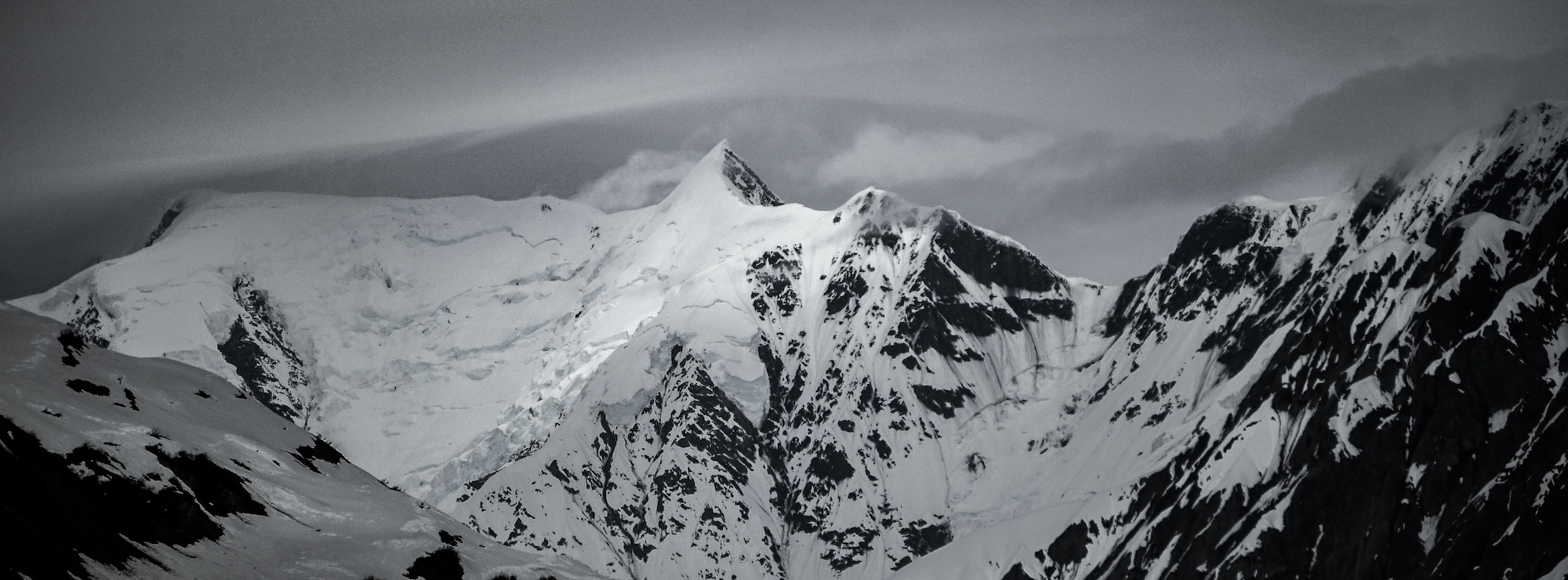 Focus: Sold on Picfair Stores - 8 March 2024