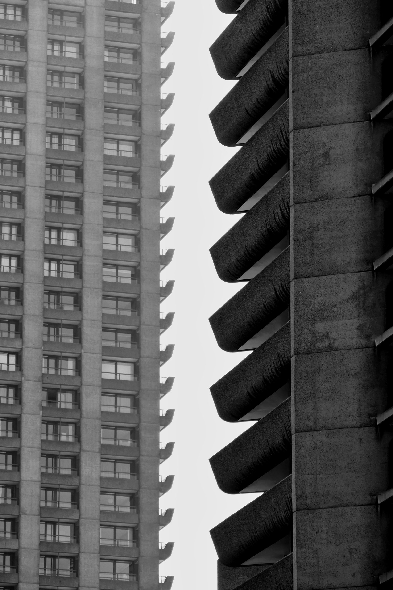 Focus: Photo Highlights from Picfair Stores - March 2024